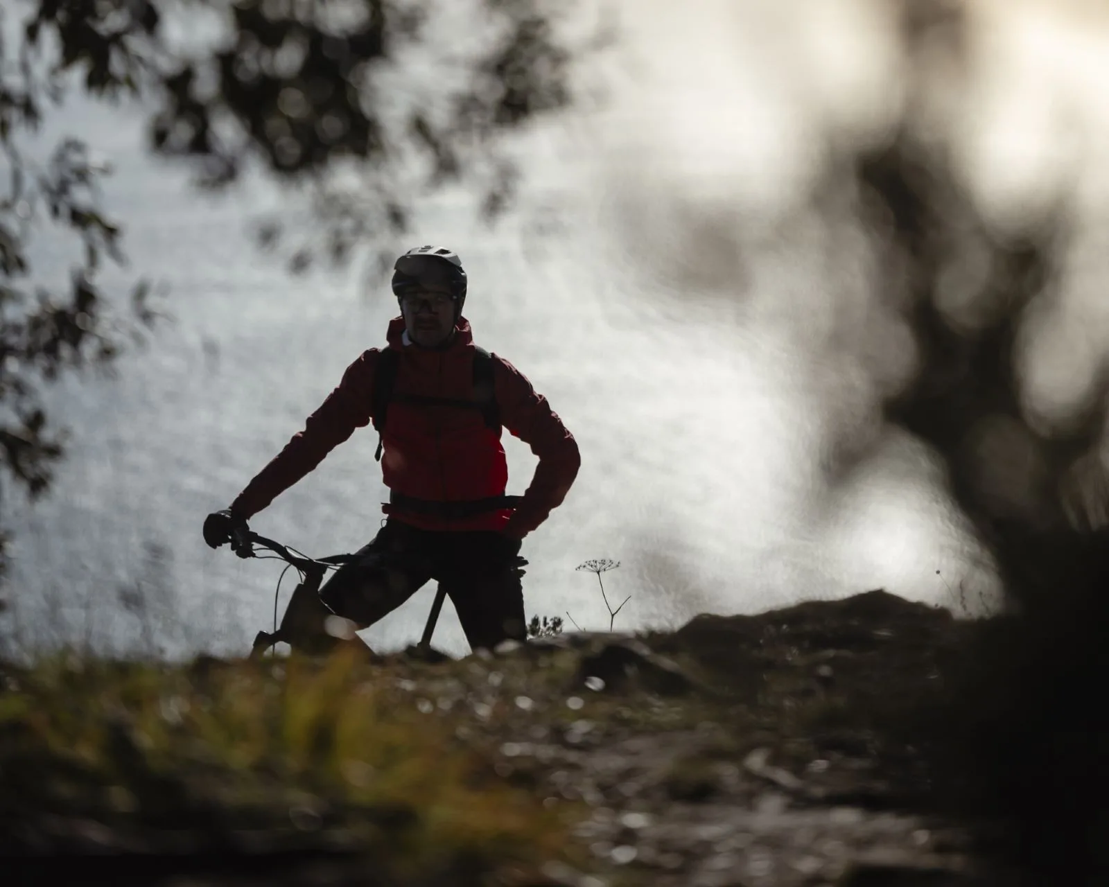 Almost 10% of UK bike sales are now electric & more UK e-bike stats ...