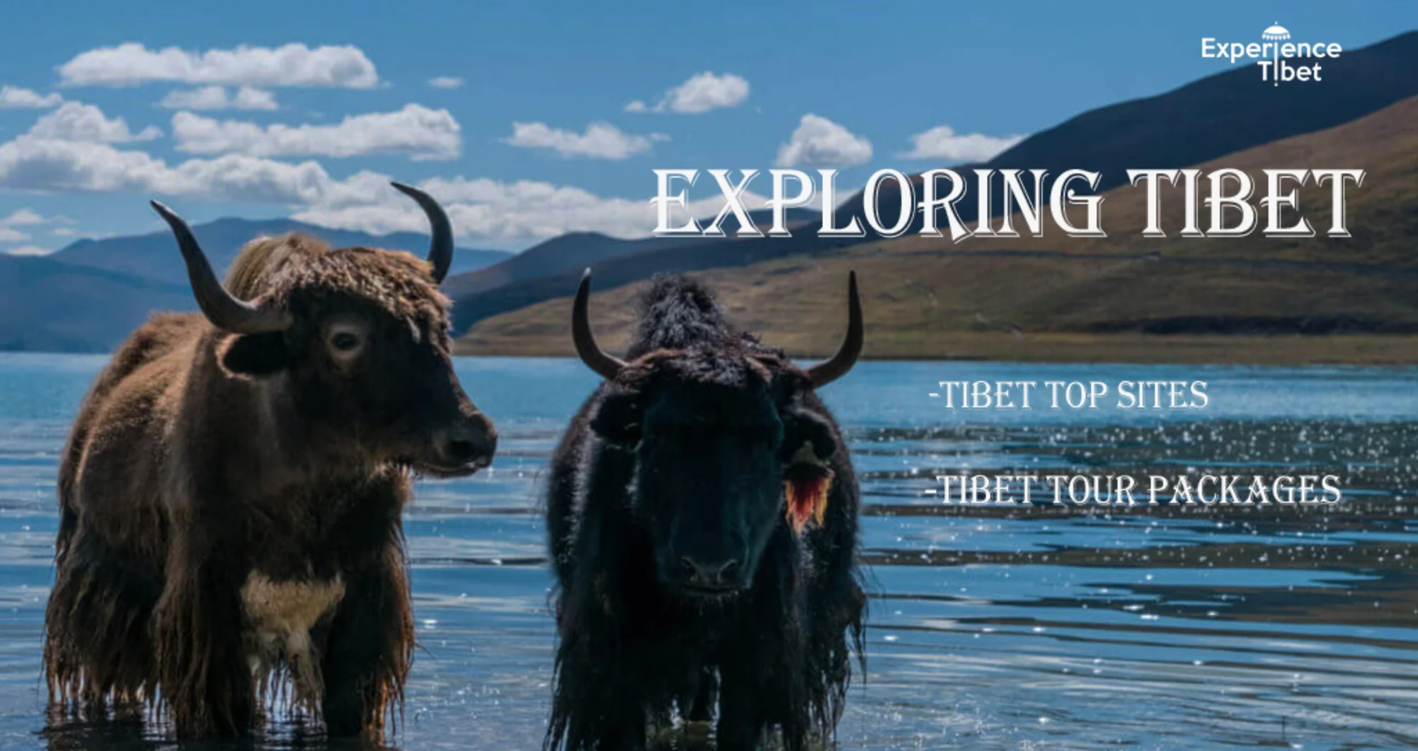 The ultimate tibet tour: Top sites and tibet tour packages you’ll love ...