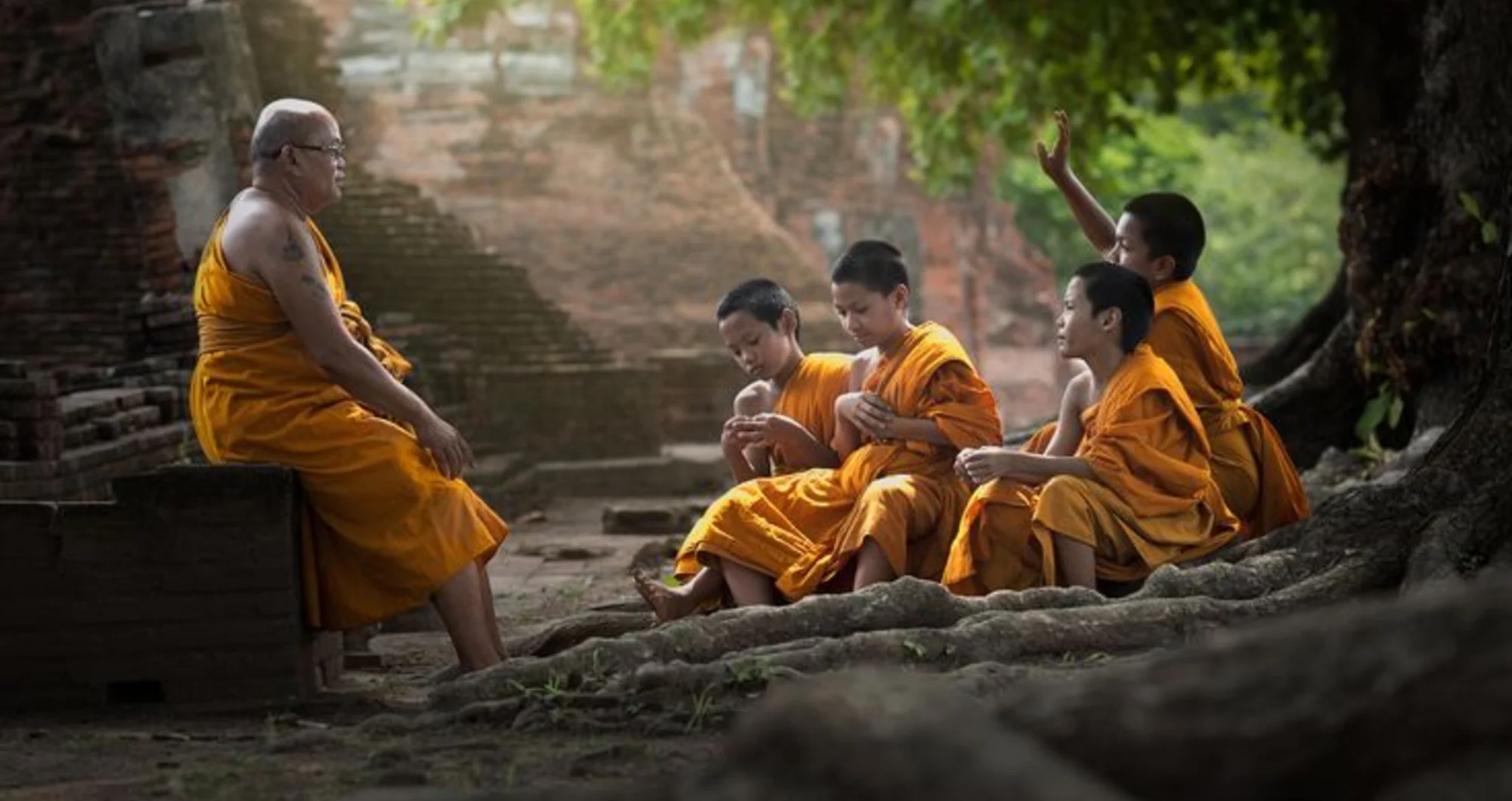Exploring the depth of Buddhism through education | London Daily News