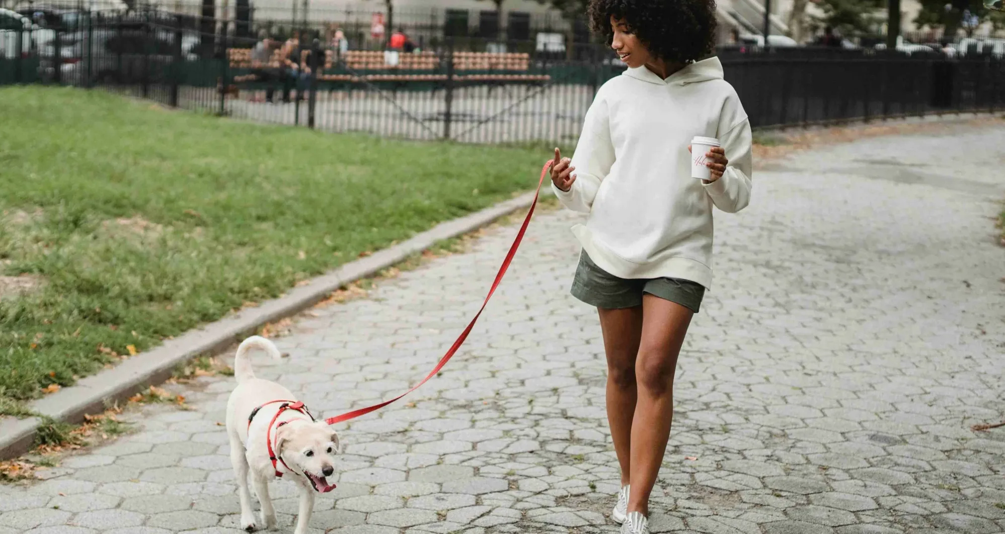 Kick off your 2025 fitness goals by running with your dog - expert tips ...
