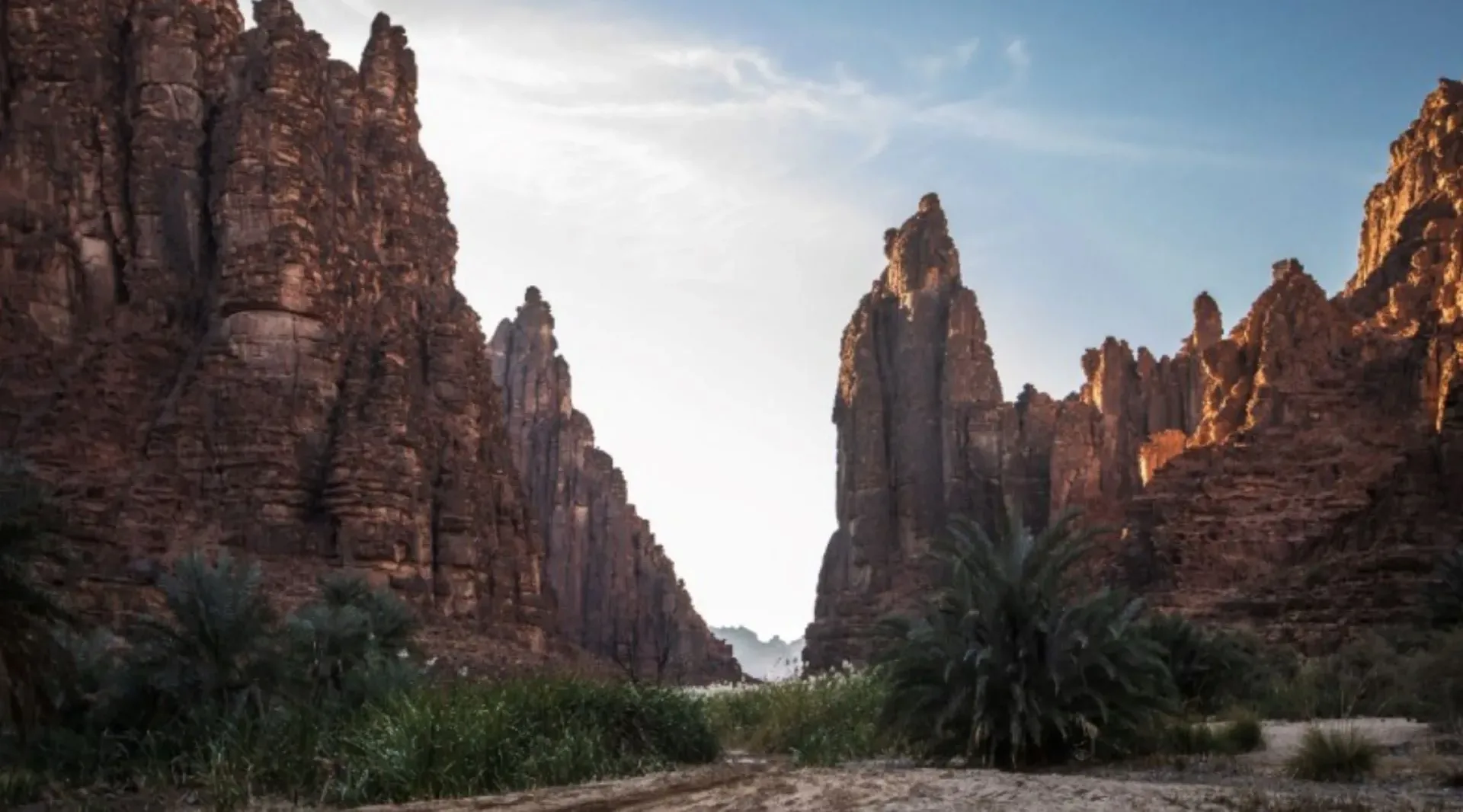 How to plan the ultimate Saudi Red Sea road trip | London Daily News