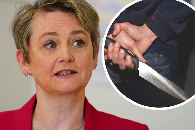 Expert gives strong support for new government laws to tackle knife ...