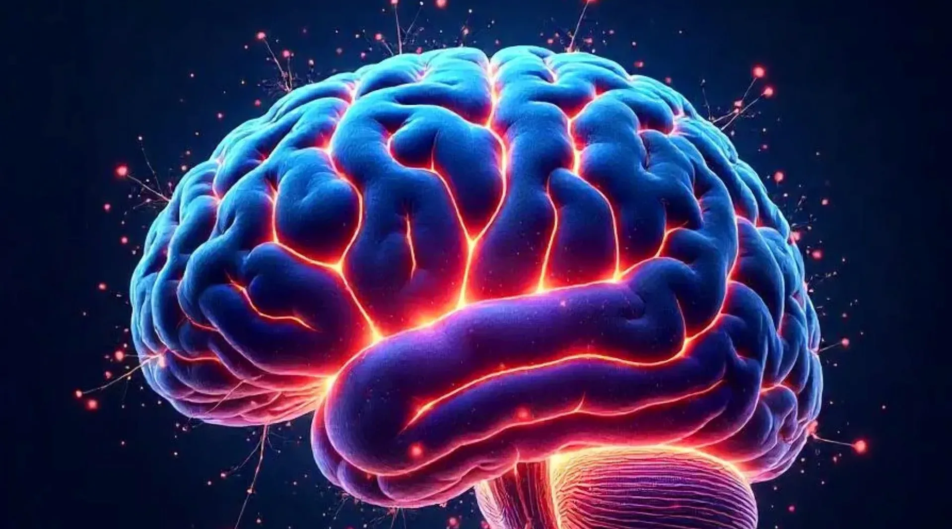 How to sharpen your brain | London Daily News