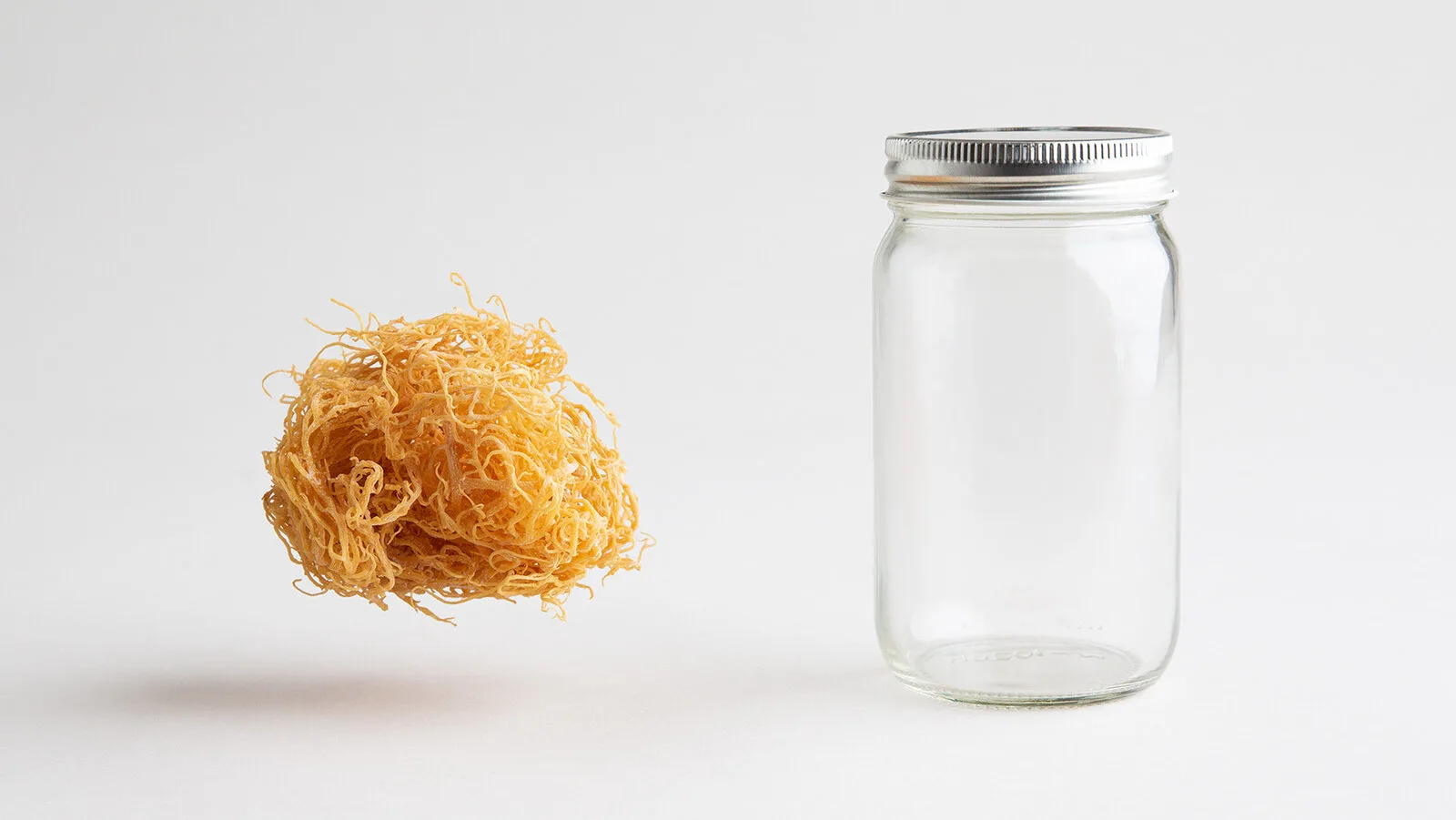 How to use sea moss for better digestion and immunity | London Daily News