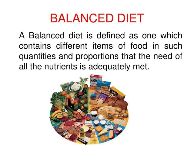 Introduction: What is a balanced diet? | London Daily News