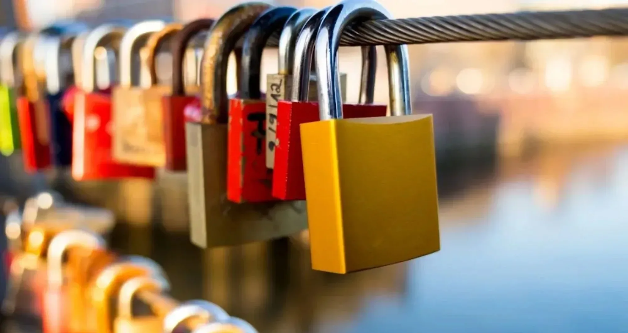 Specialist Padlocks Explained: Their Uses and Benefits