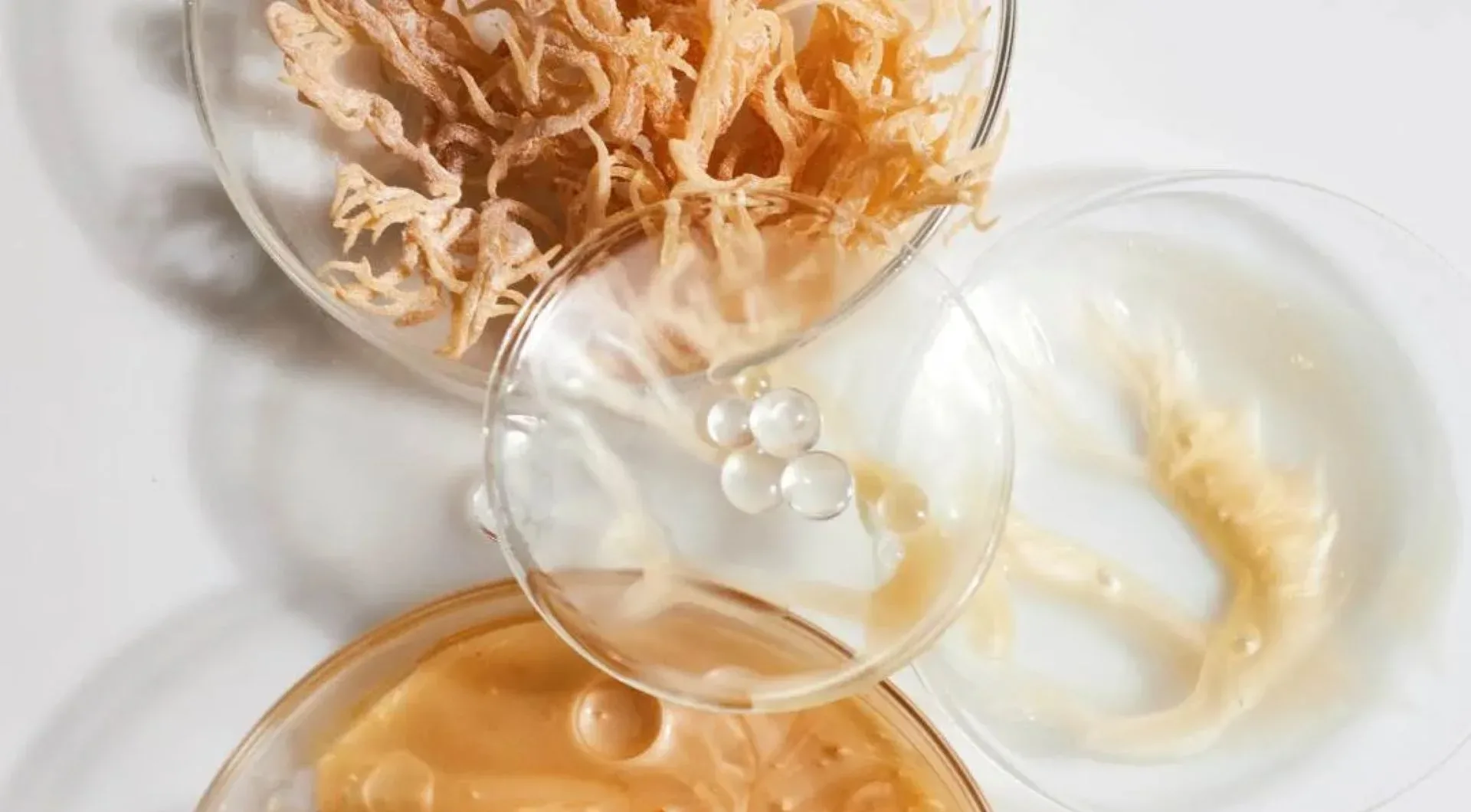 10 incredible benefits of irish sea moss you never knew about | London ...