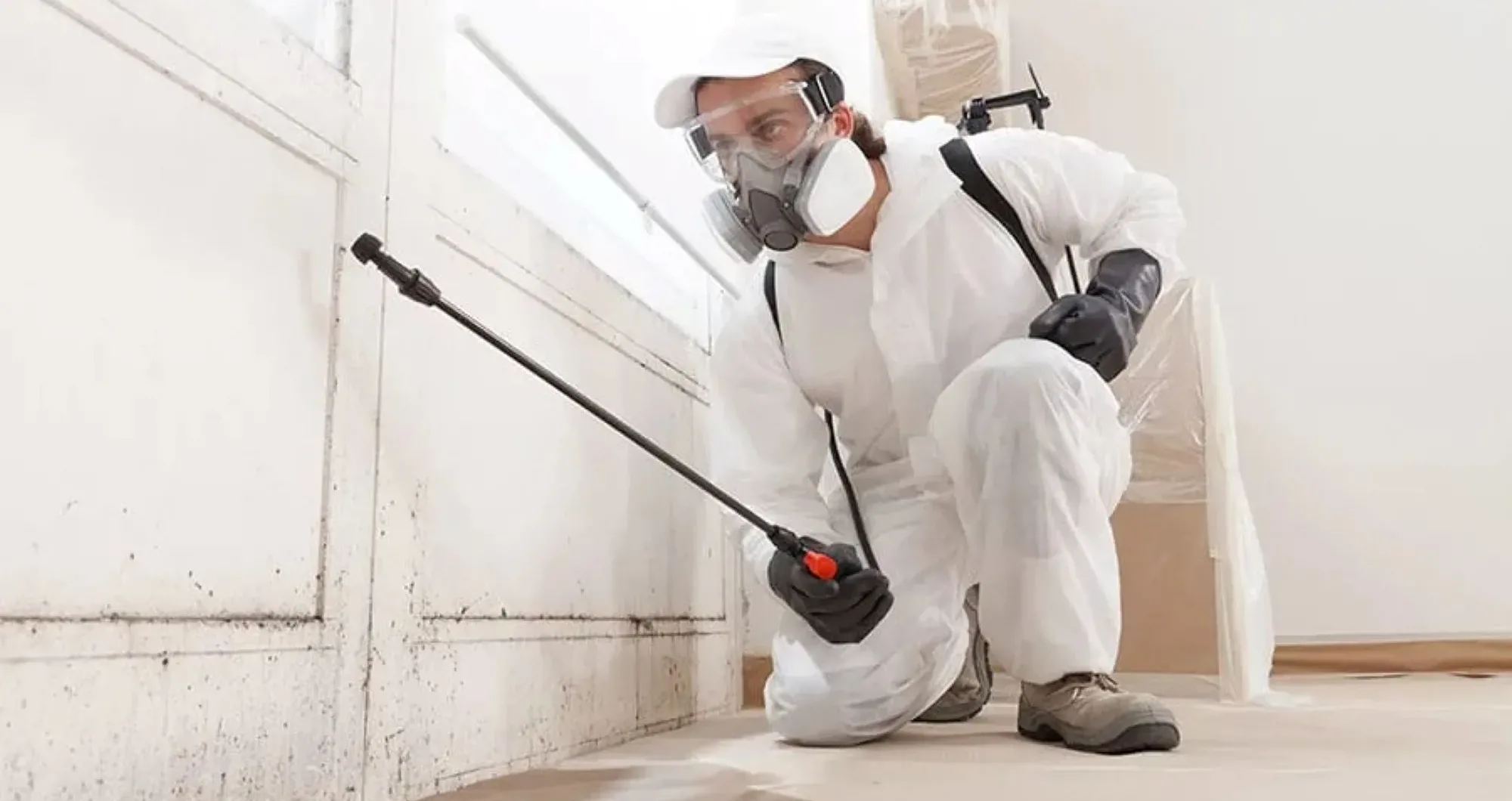 From Pipe Problems to Mold-Free Living: Your Complete Guide to ...