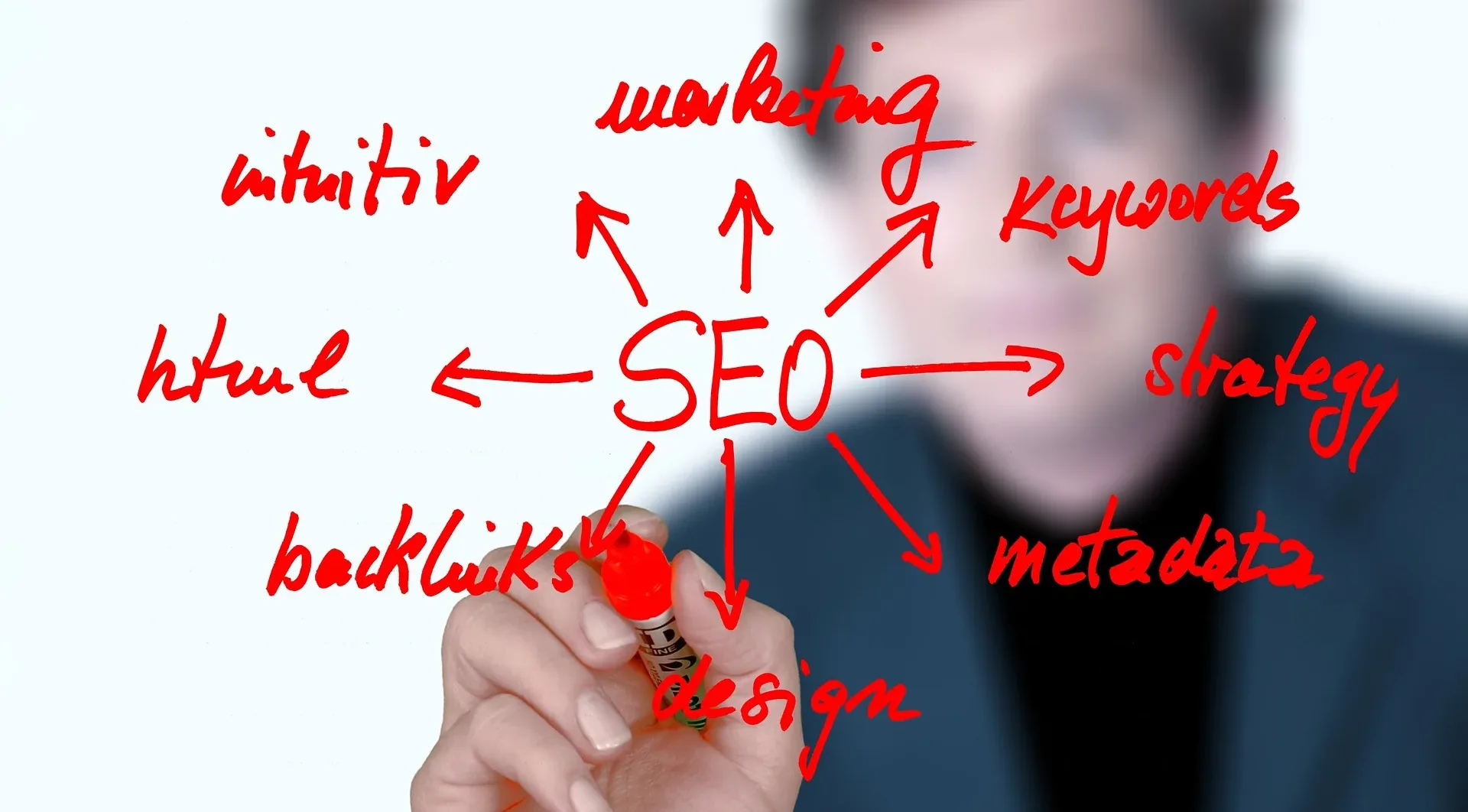 Basic, Business, Professional: What is Inside SEO Packages?