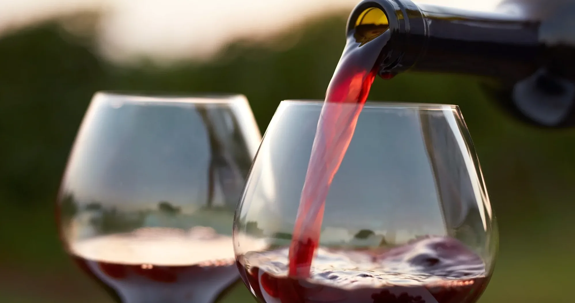 Understanding red wine benefits: What science and tradition say ...