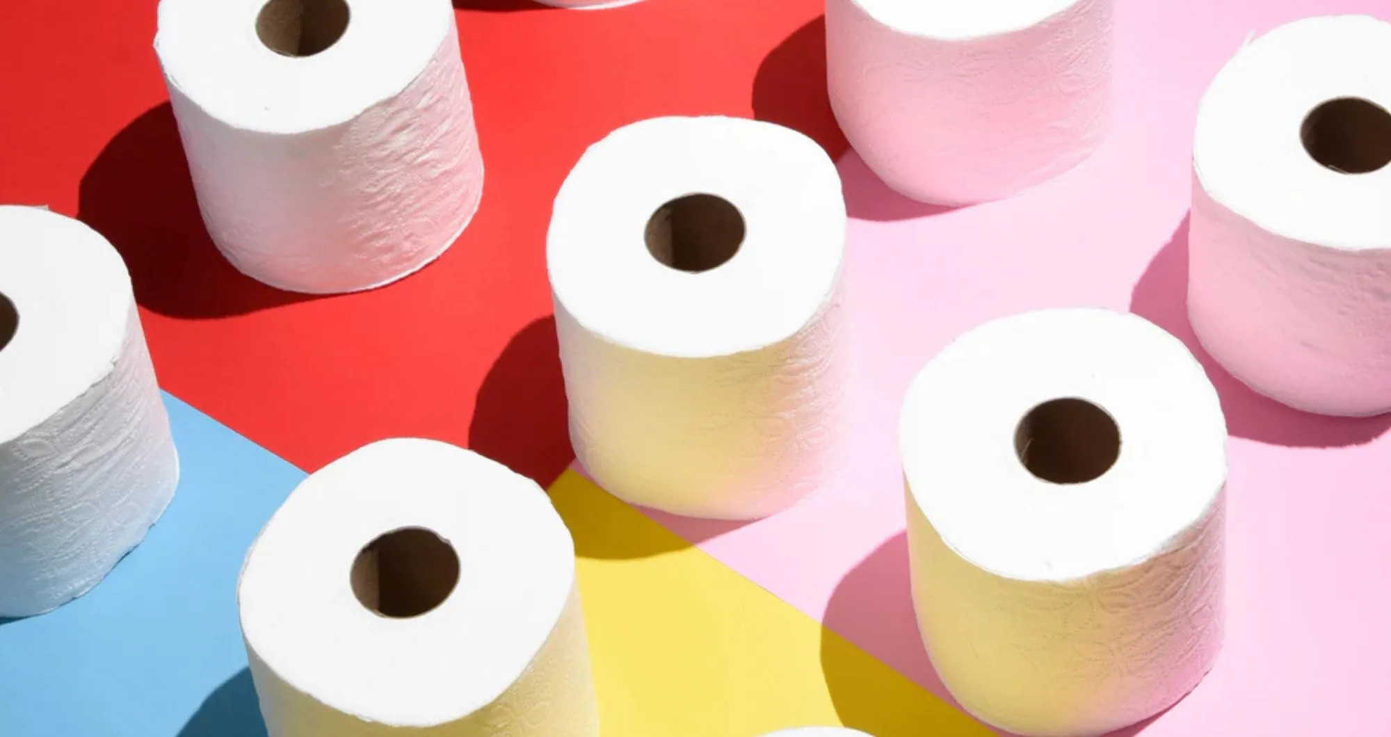 Composting Toilet Paper: Can You Do It and How?