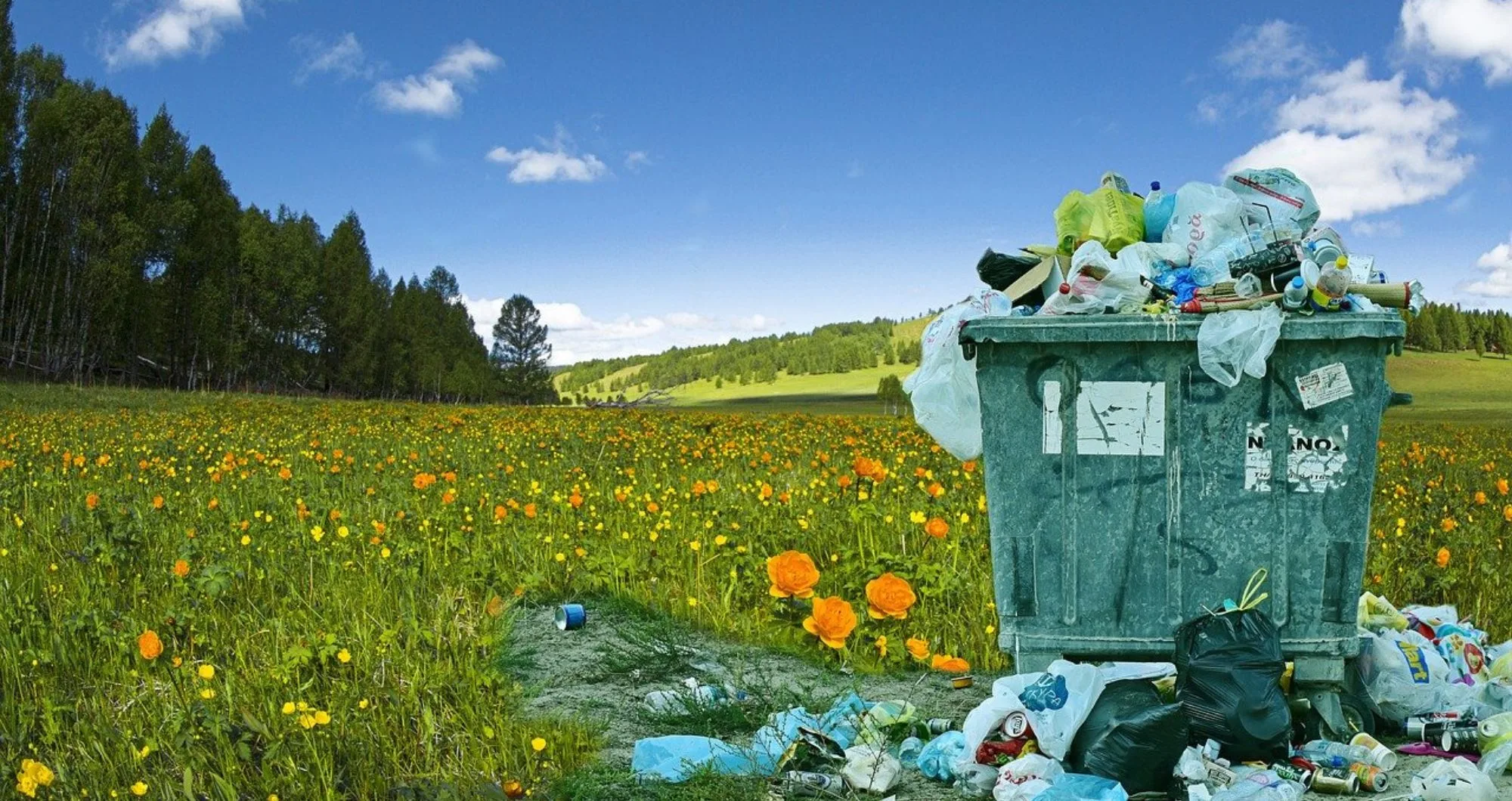 Common Waste Clearance Problems and How They Can Impact Human Health