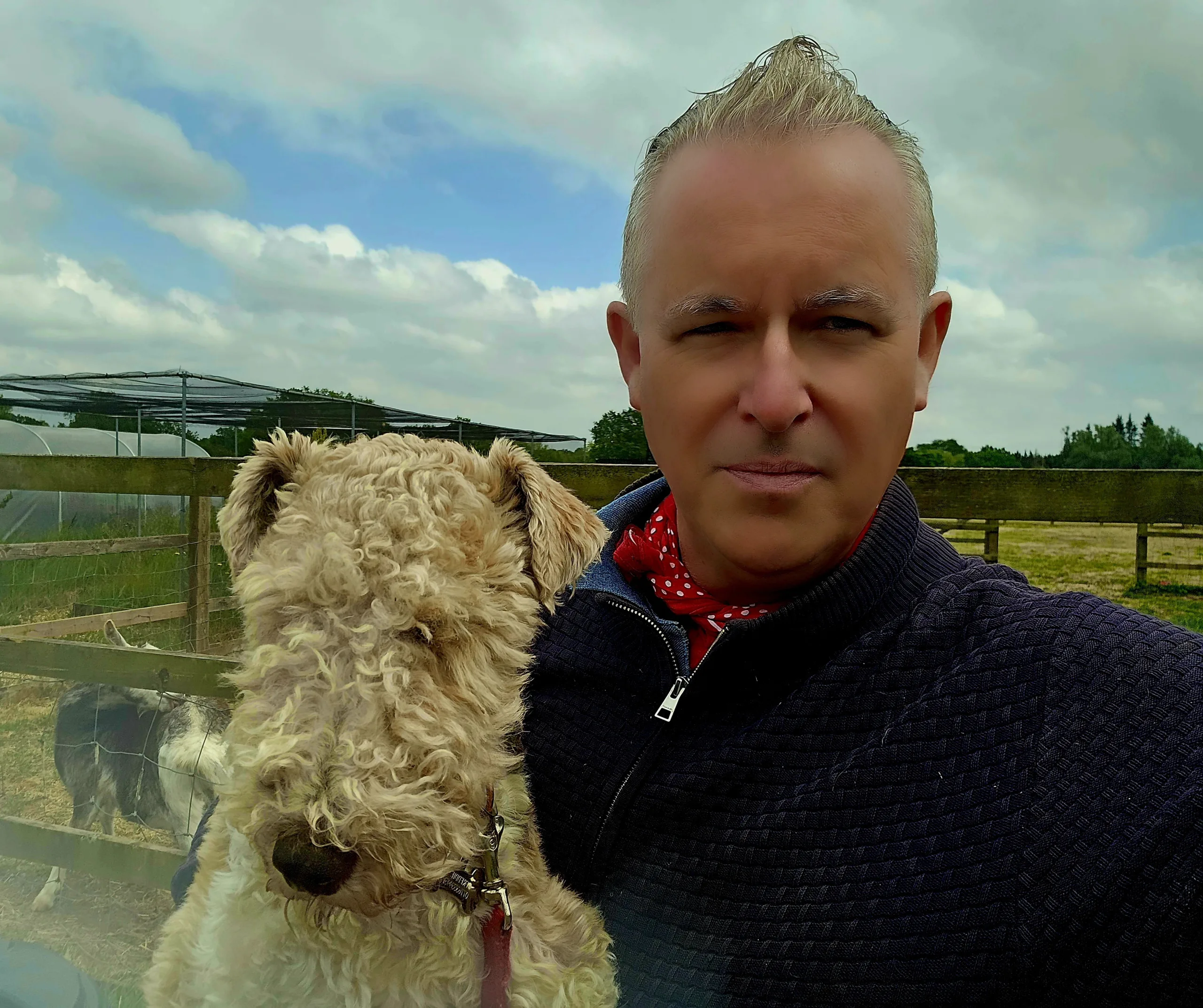 From dog bed to Hollywood history | London Daily News