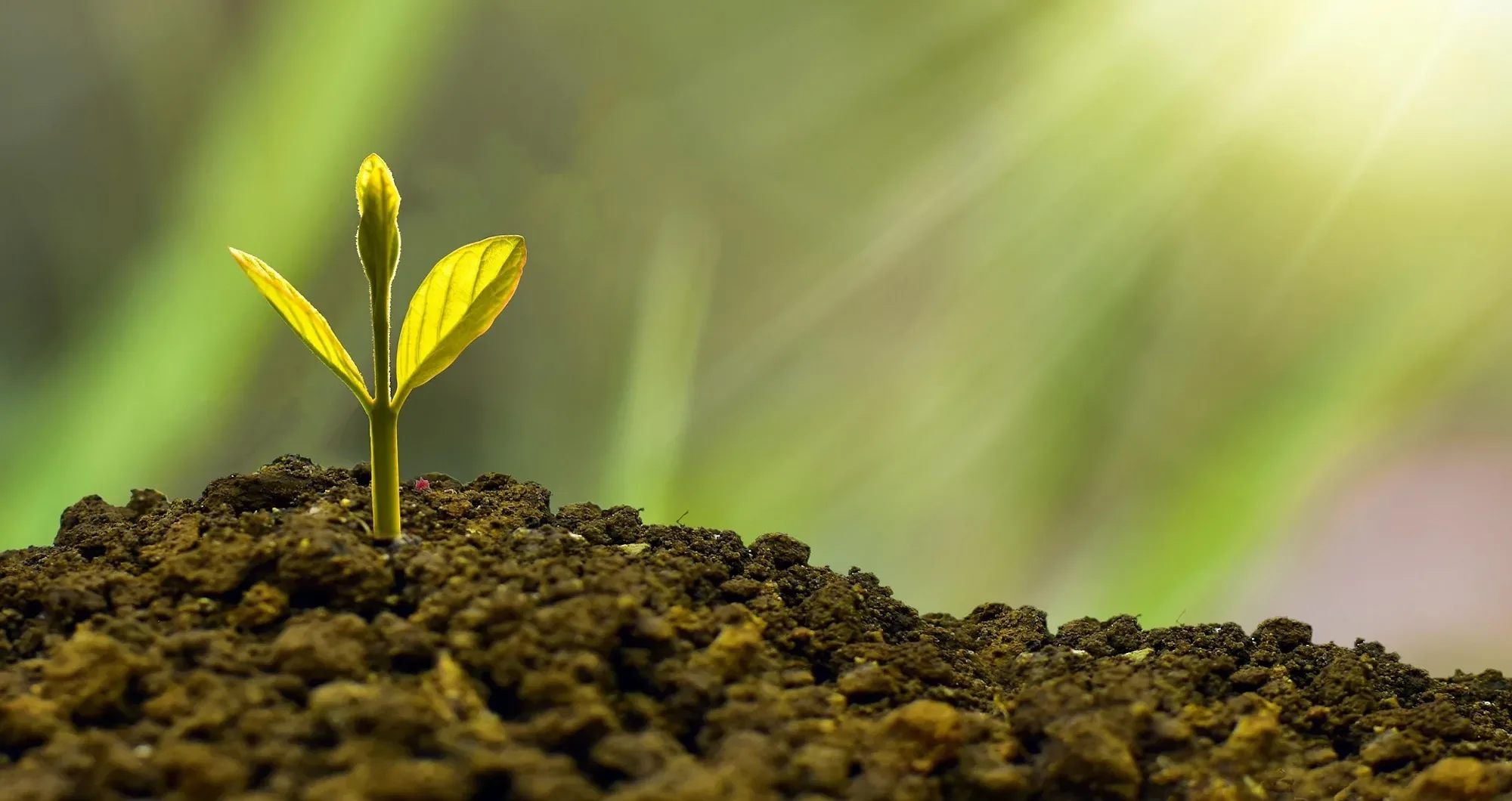 KFC Youth Foundation grants £90k to support local charities in London ...