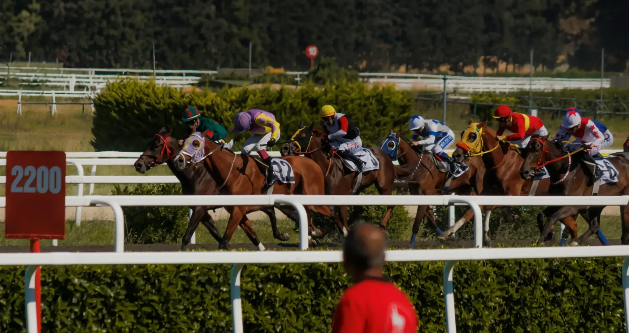 The language of horse racing: What do all those phrases actually mean ...