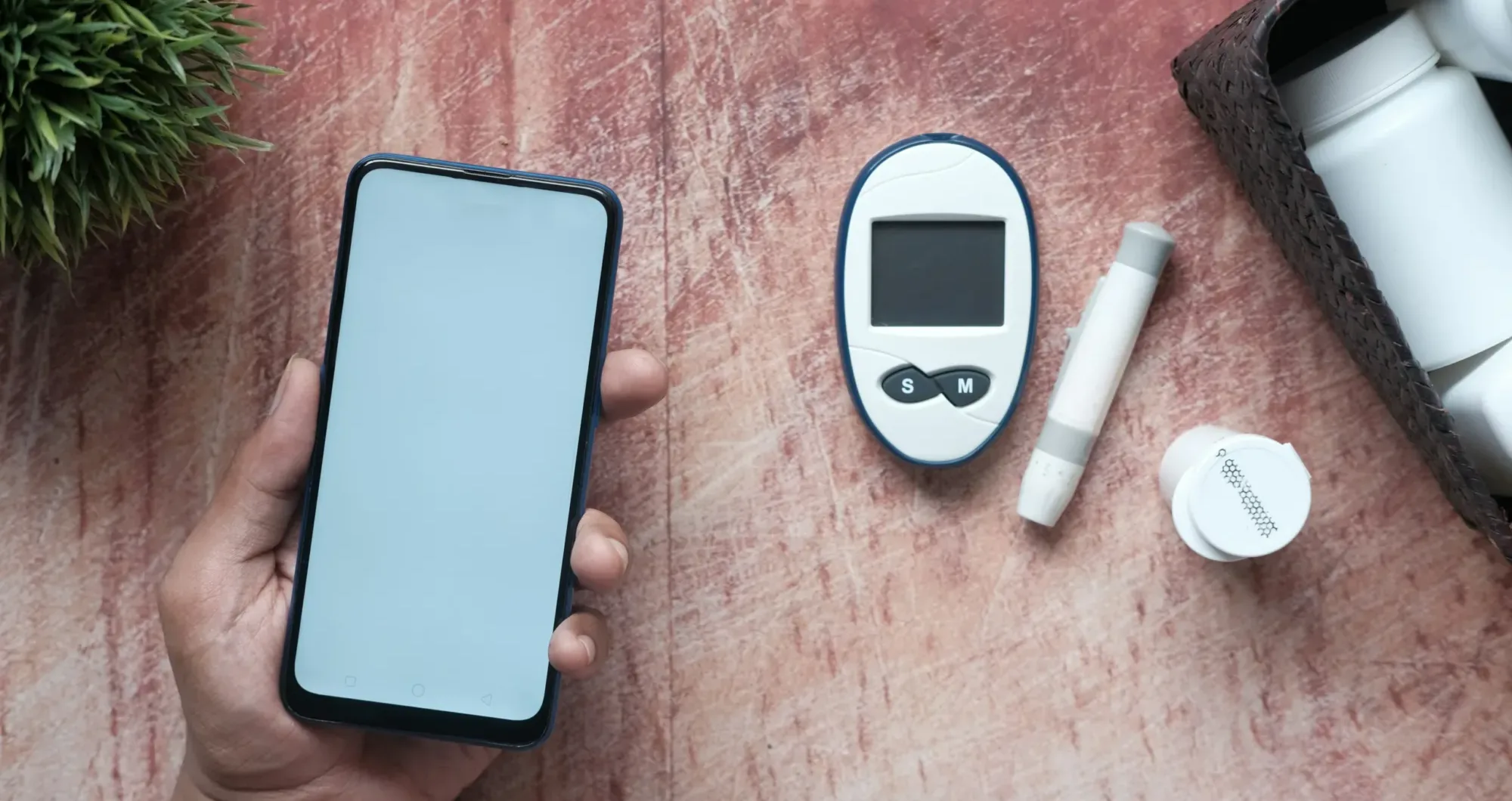 Embracing the bold life: A synergy of health, lifestyle, fashion, and ...