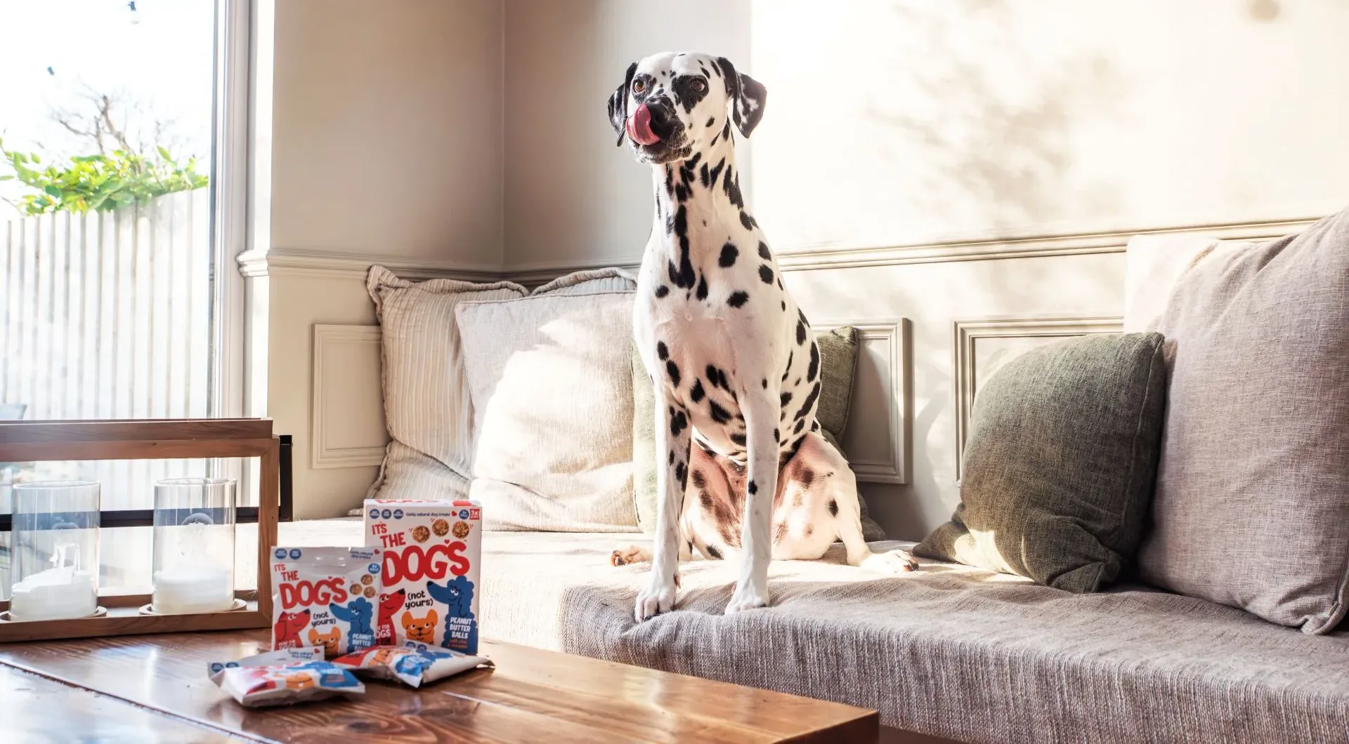 It’s The Dogs brings human-grade reassurance to the premium dog treats ...