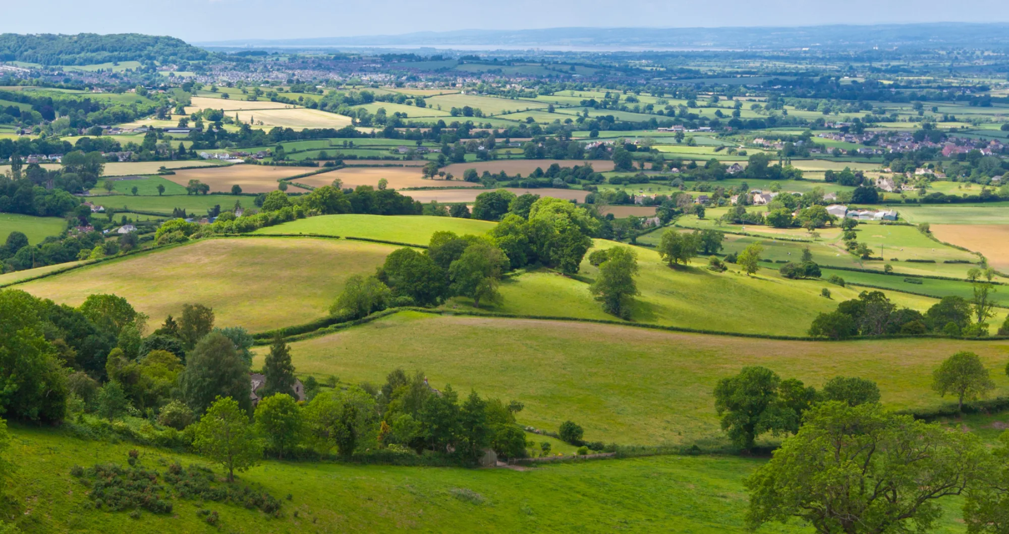Biodiversity Net Gain: The Future of Sustainable Development
