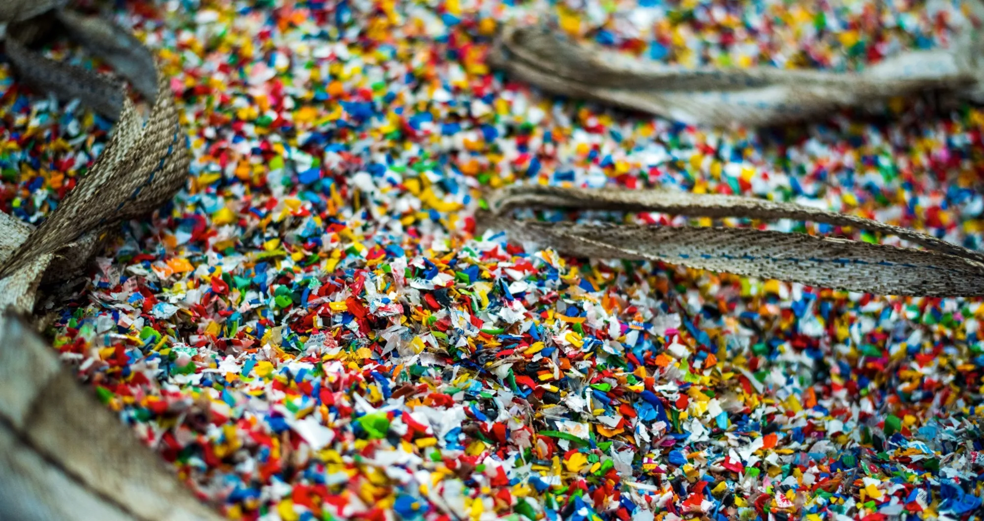 From start-up to scale-up: How smart waste Solutions support business ...