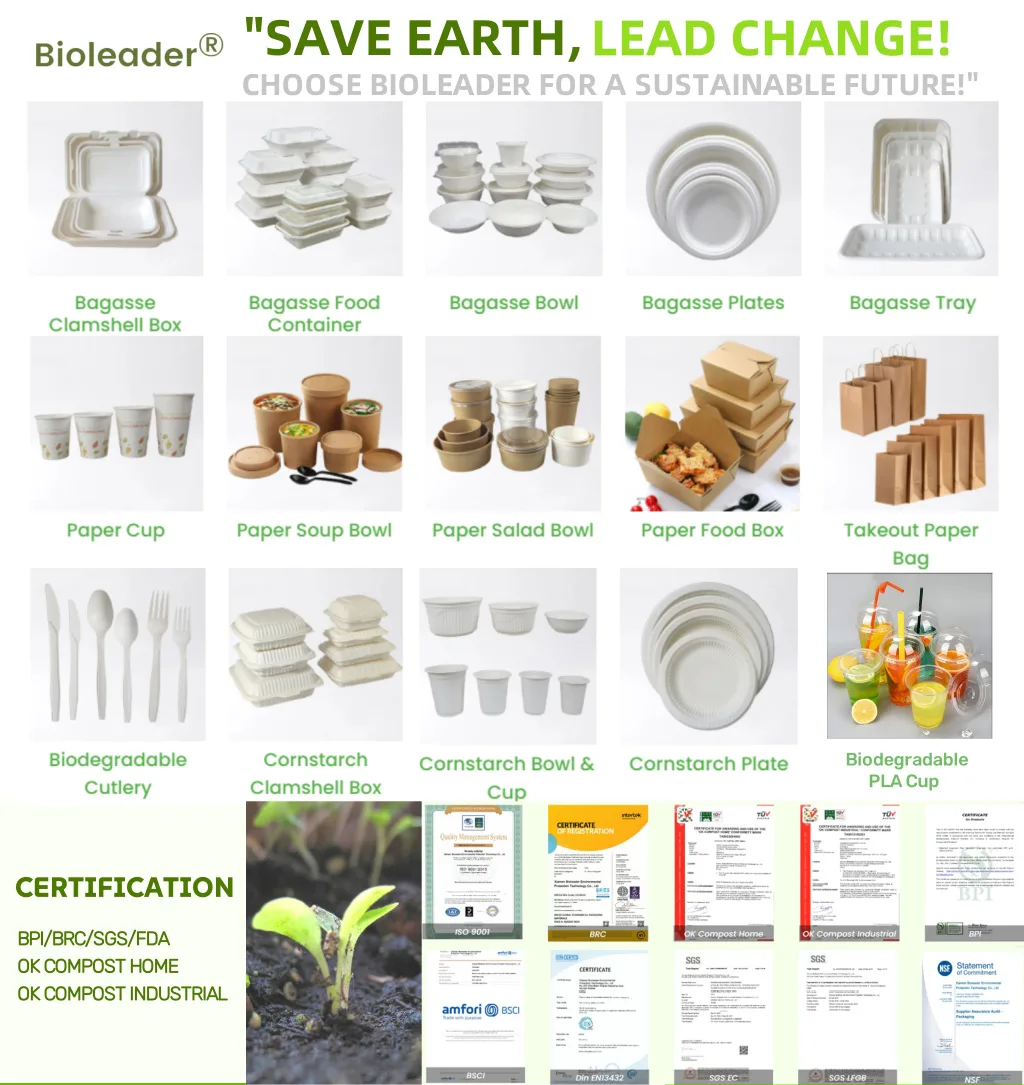 From street food to fine dining: Why compostable tableware is becoming ...