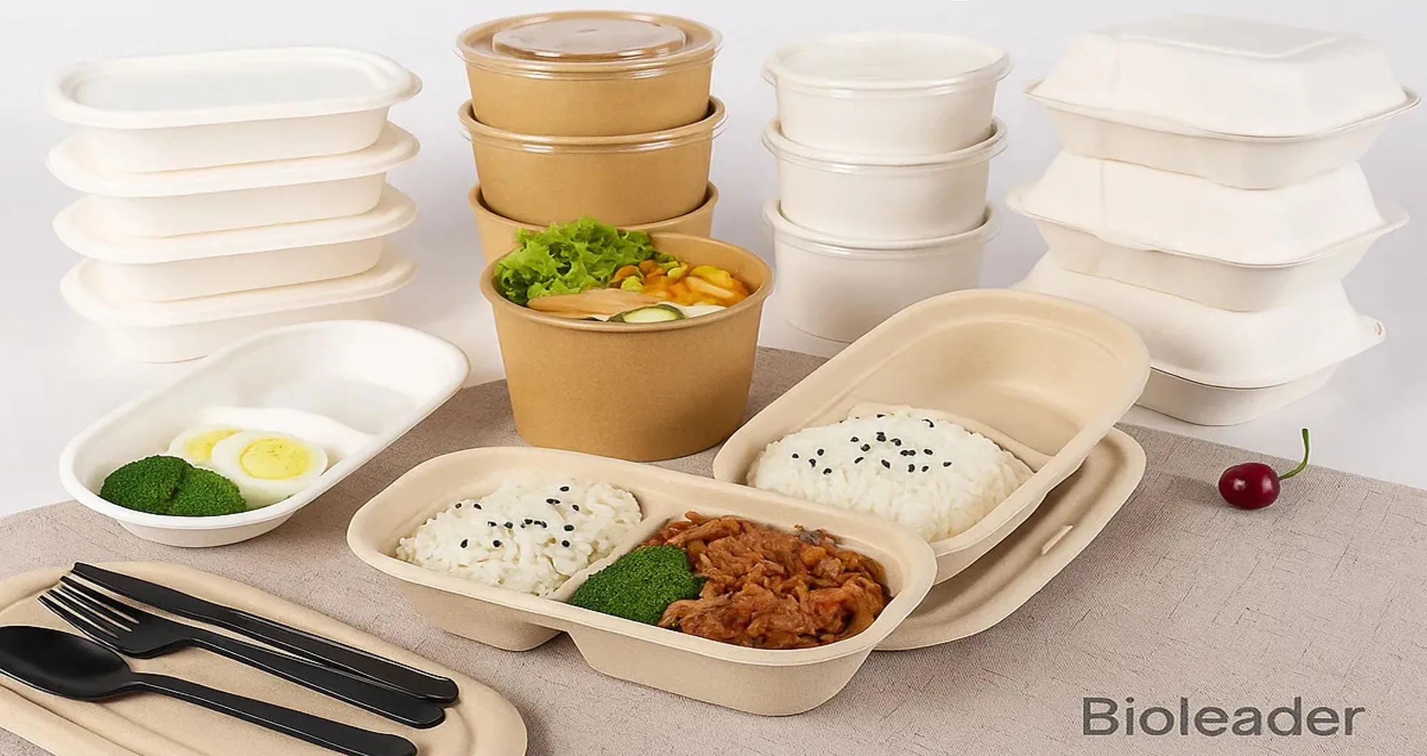 Why sugarcane-based food containers are the future of sustainable ...