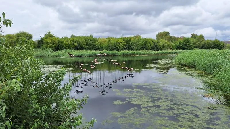 New art installation unveiled at London Wetland Centre in Barnes ...