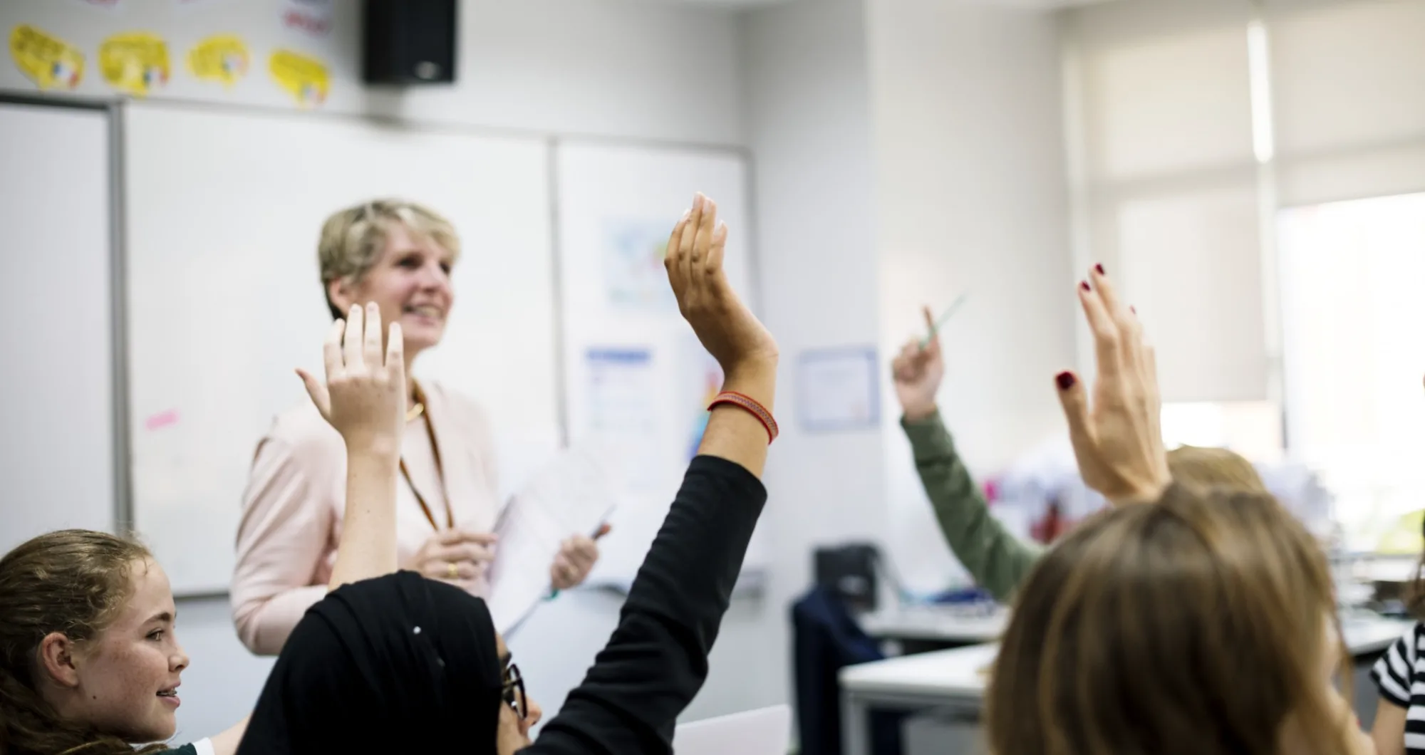 Which Is the Best Program to Learn a Language? | London Daily News