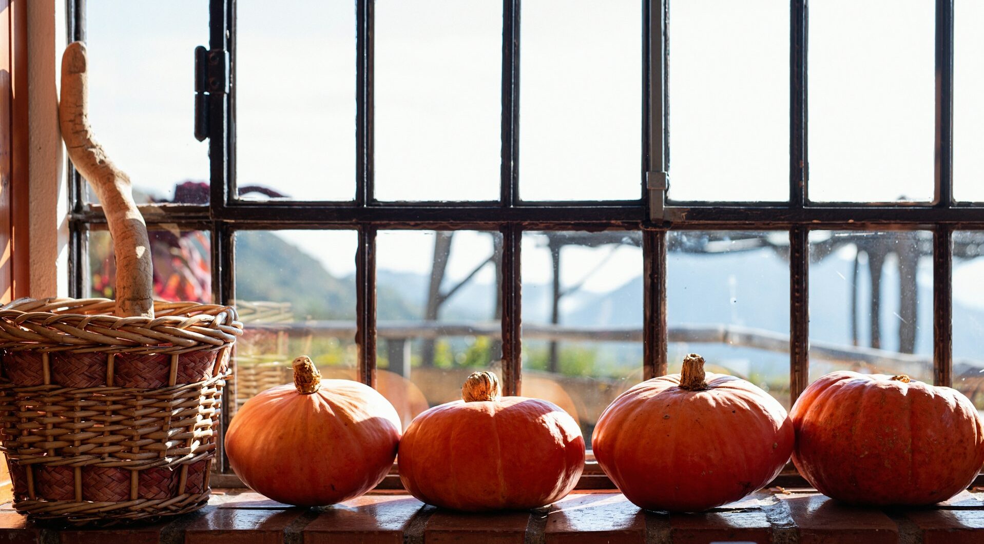 Favourite ways Londoners spend relaxing Autumn nights at home | London ...