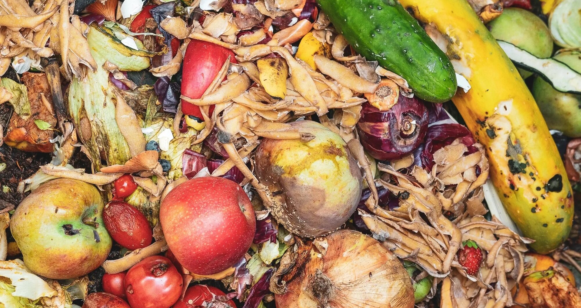 National pact ‘Brazil Without Waste’ unites sectors to reduce food loss ...