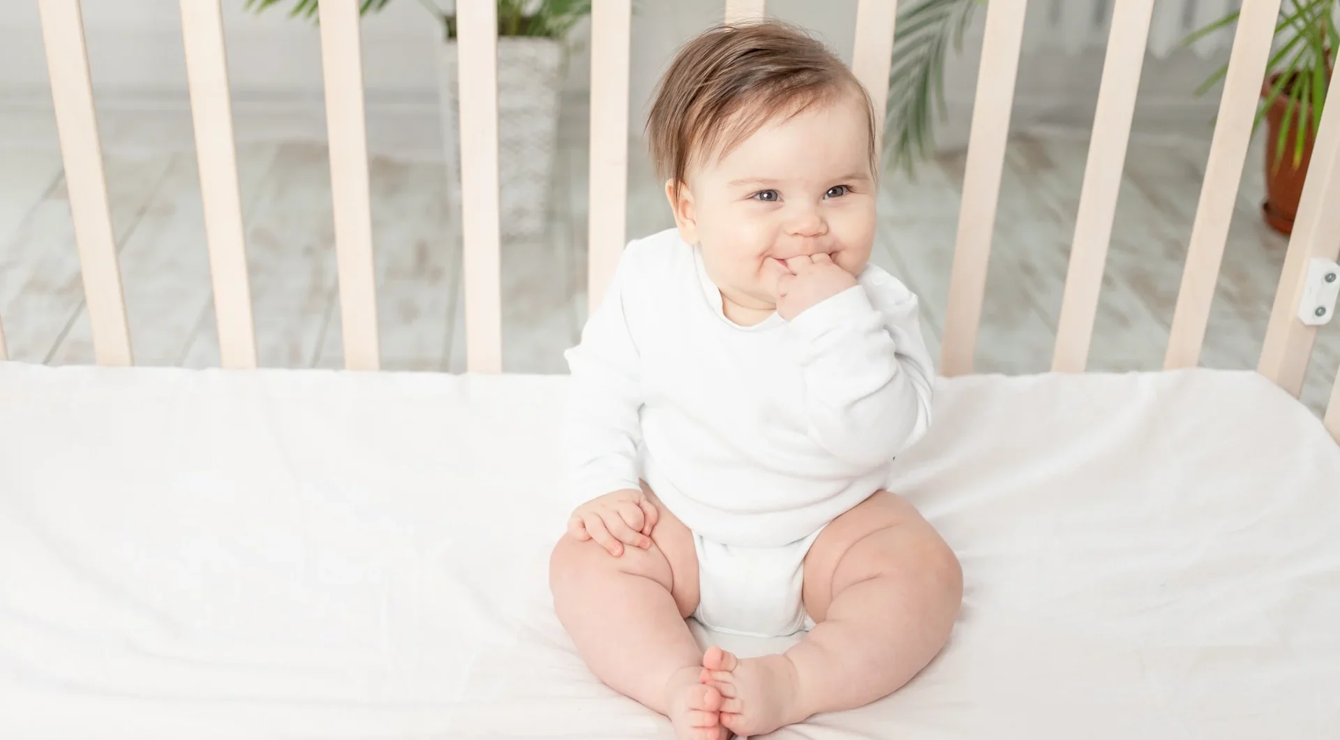 What to look for when buying a baby cradle | London Daily News