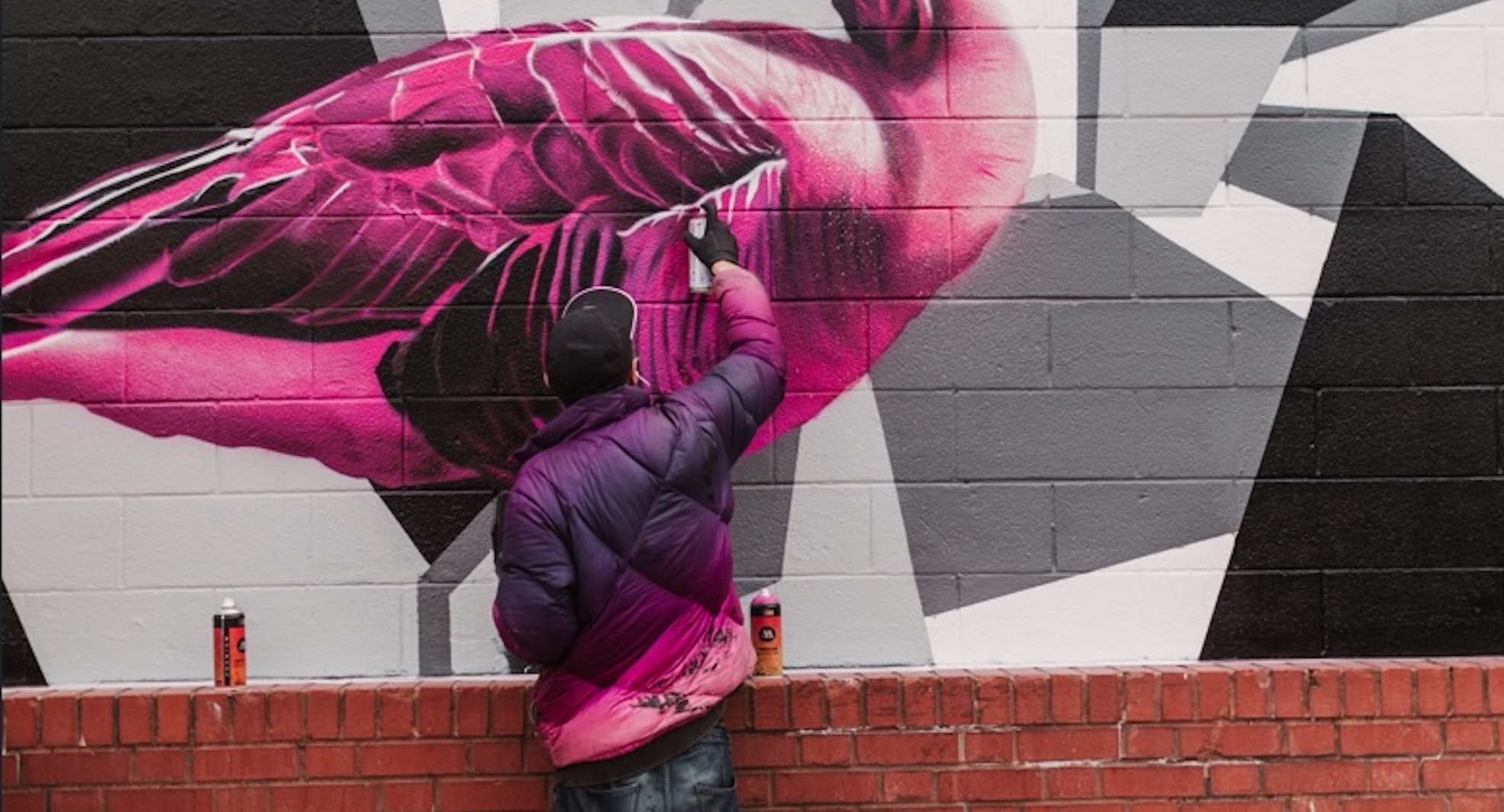 Croydon born street artist David Speed creates new giant neon goose ...