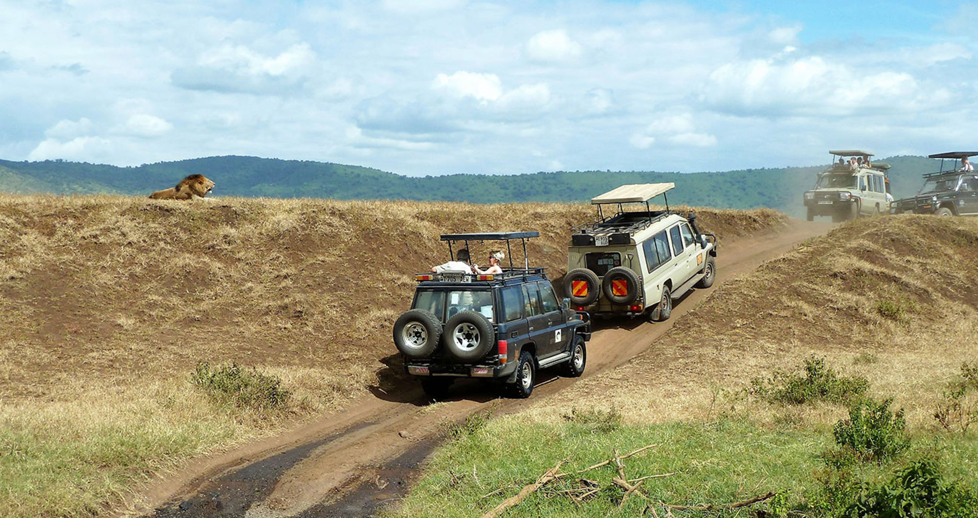 The ultimate guide to car rental in Arusha and self-drive Tanzania ...