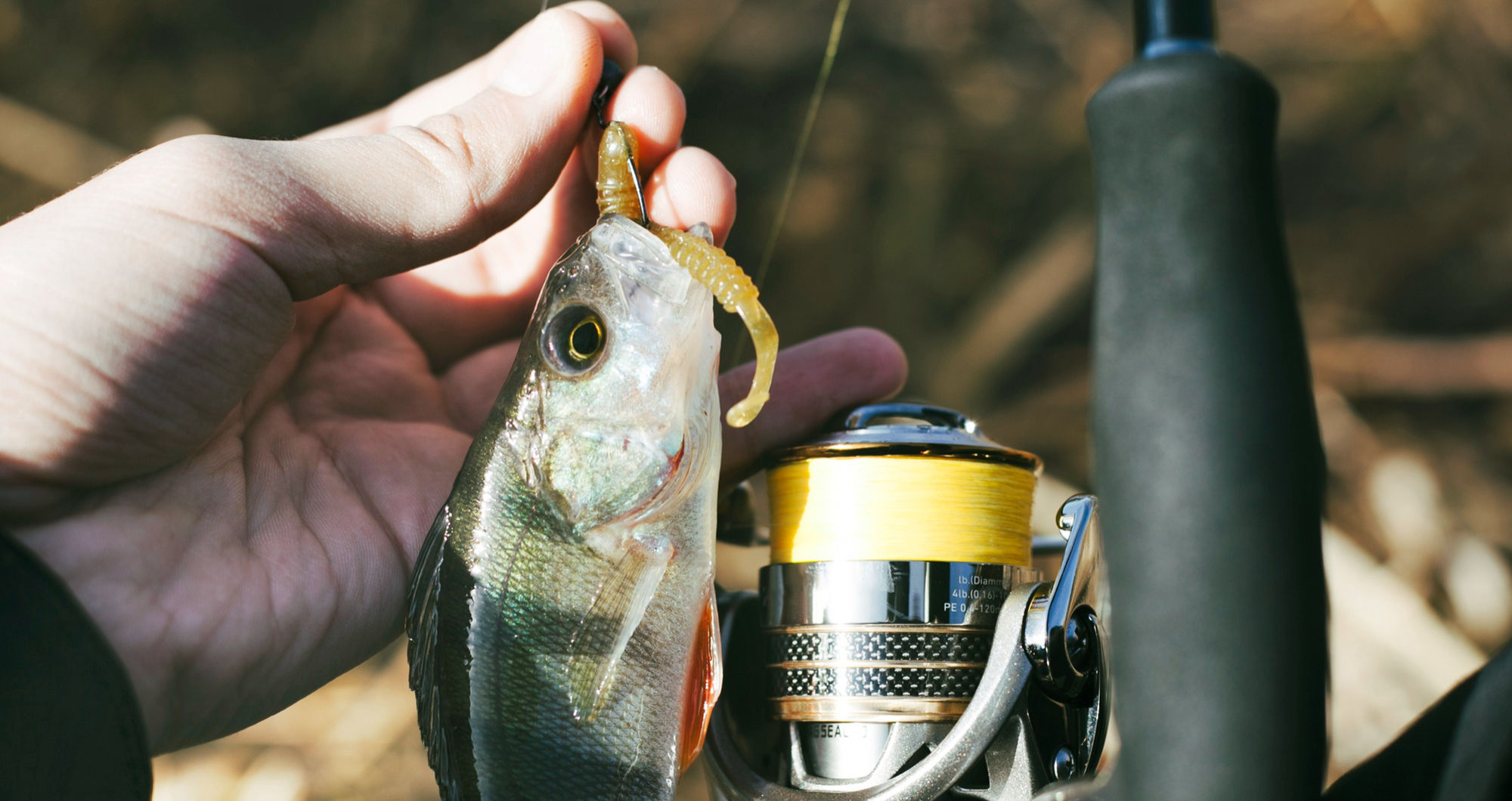 Fishing pole vs baitcasting rods: Which should you choose in 2025?