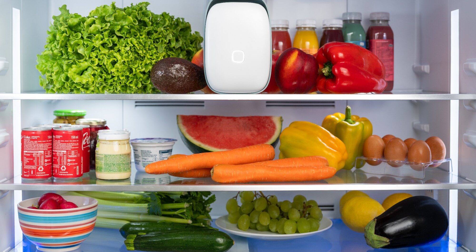 Vitesys upgraded version of Shelfy helps household extend food ...