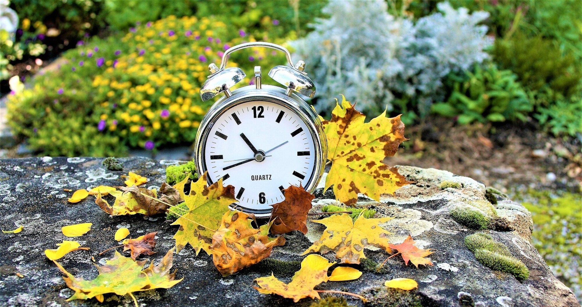 Clocks go back – simple steps to boost employee wellbeing this winter ...