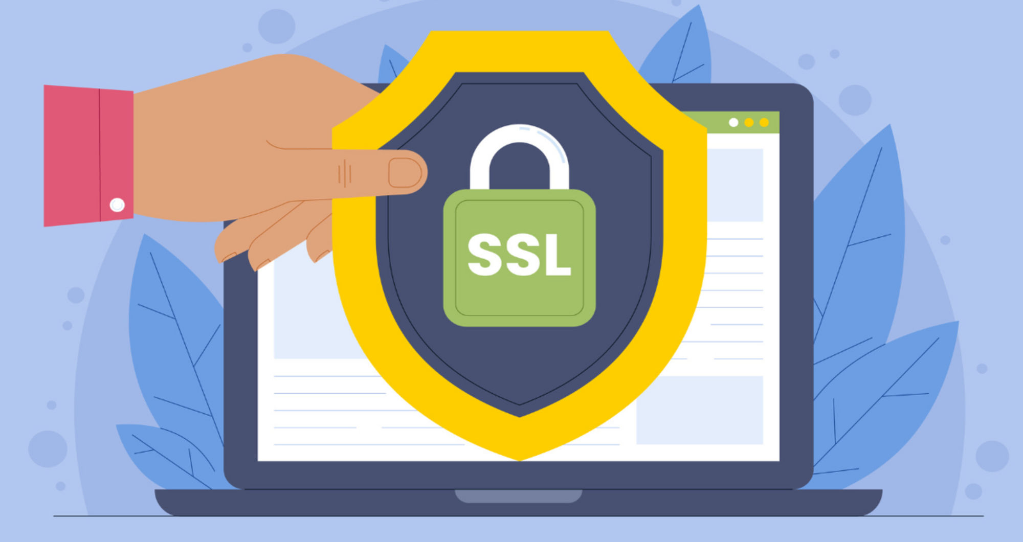 Finding a vheap Wildcard SSL certificate