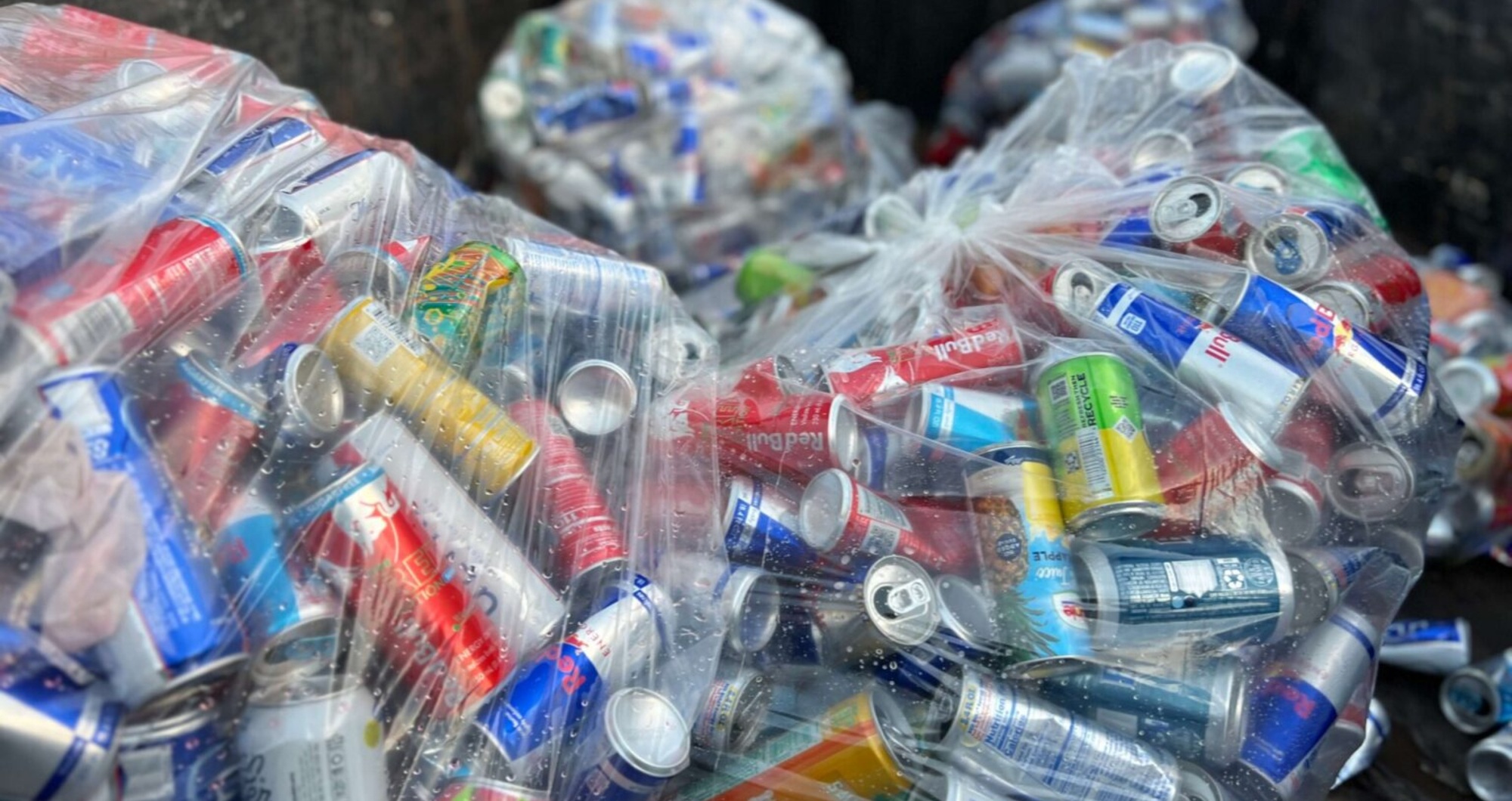 Junk removal companies and recycling and sustainability | London Daily News