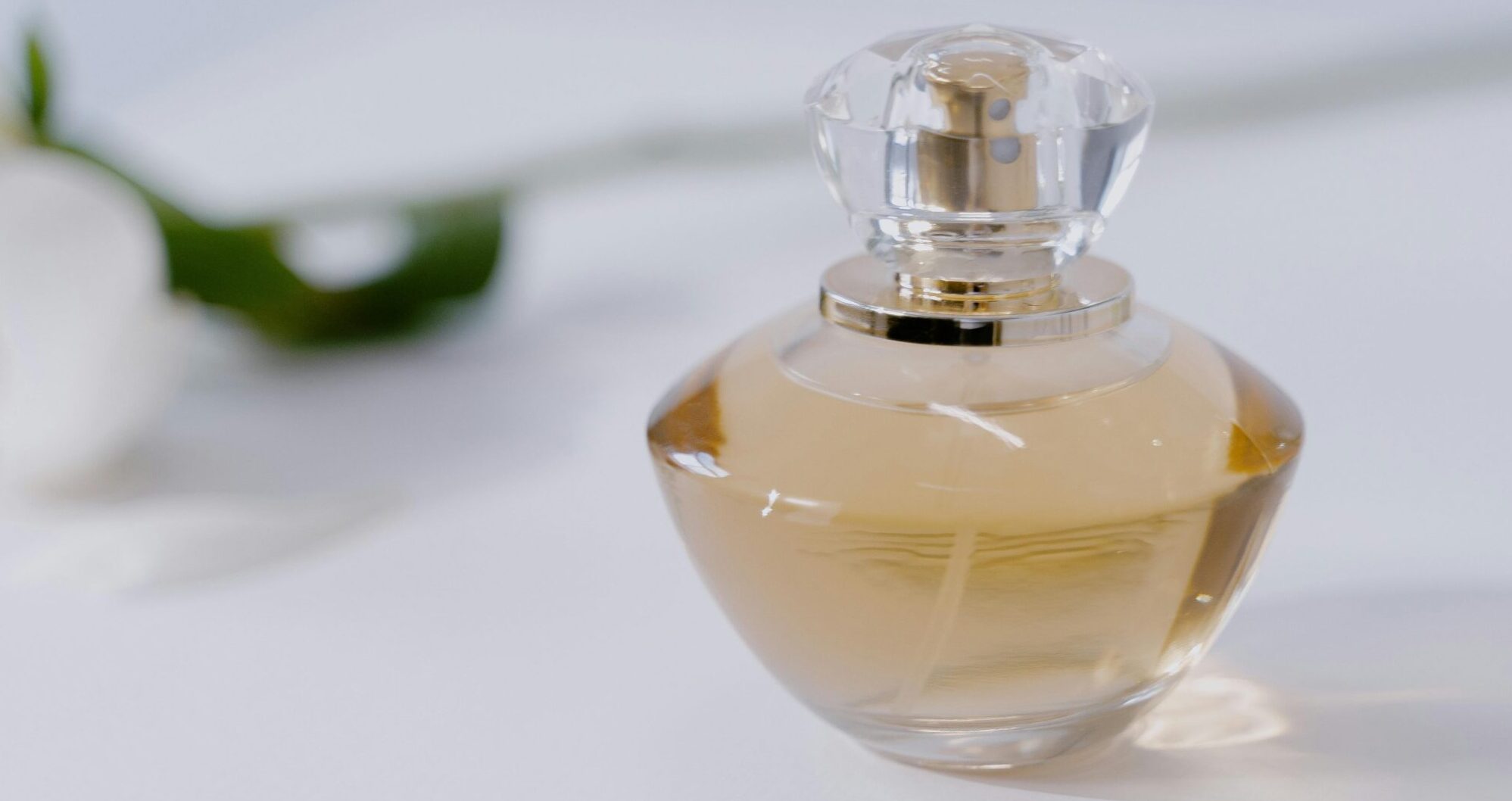 AI powered fragrance creation and personalised scents | London Daily News