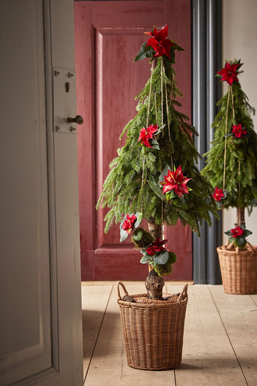 Forestcore styling with Stars for Europe UK | London Daily News