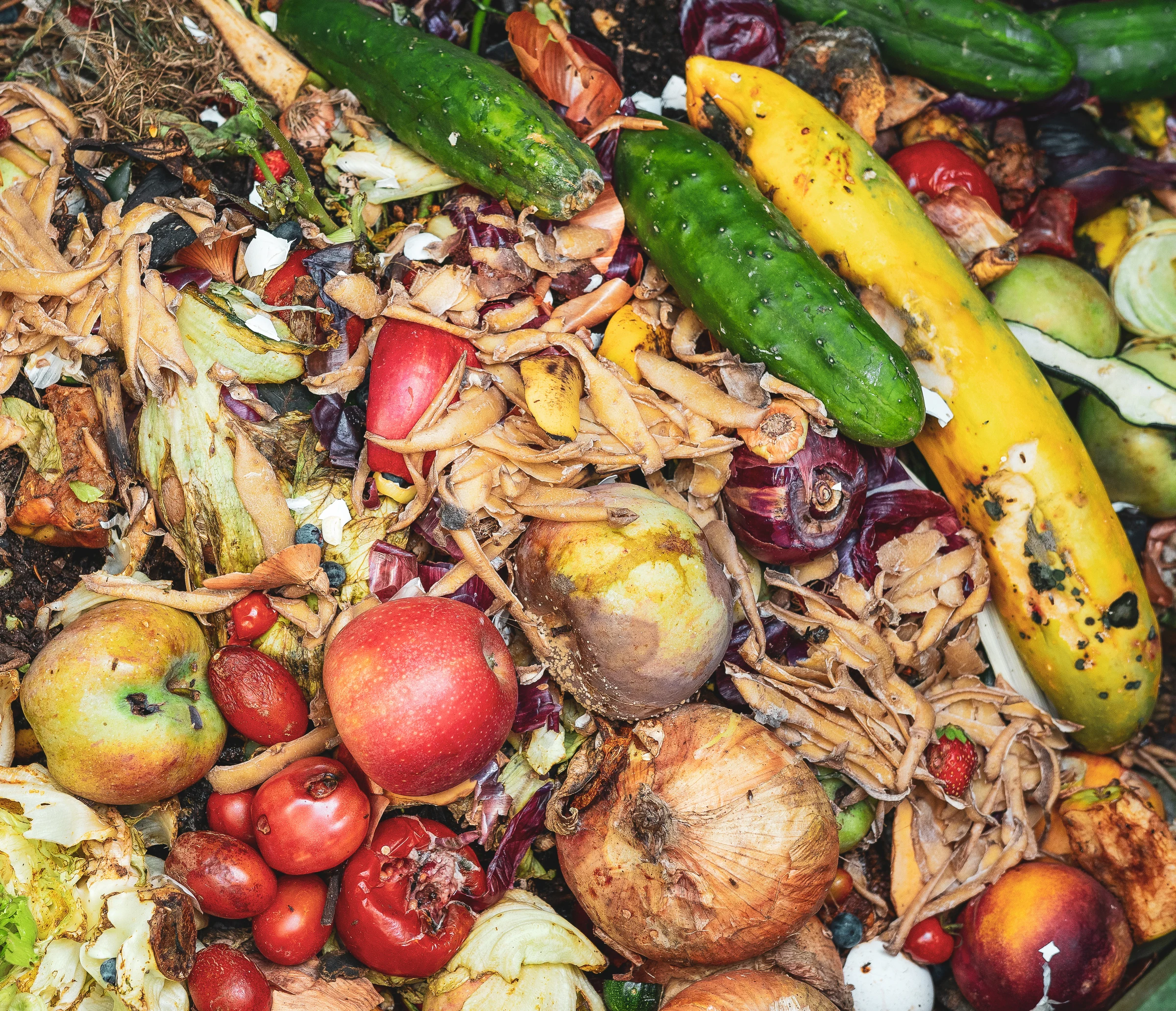 ‘Love your leftovers: Feast smart, Waste less’ campaign to save food ...