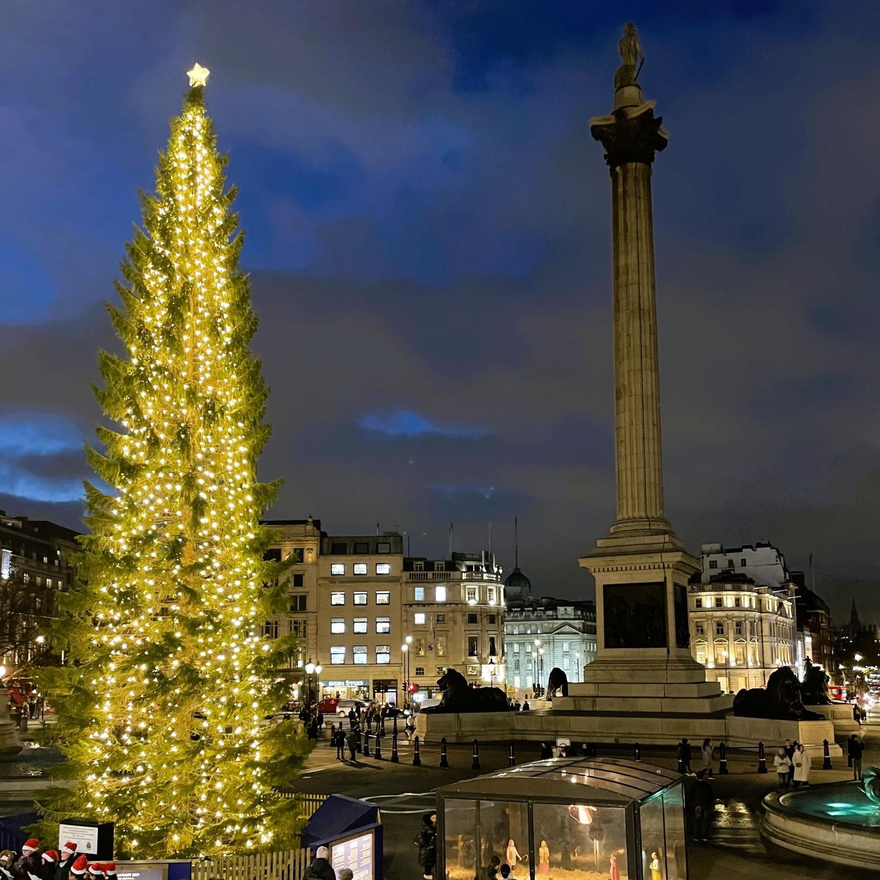 Norway’s Christmas tree lights up Trafalgar Square as London marks the start of the festive ...