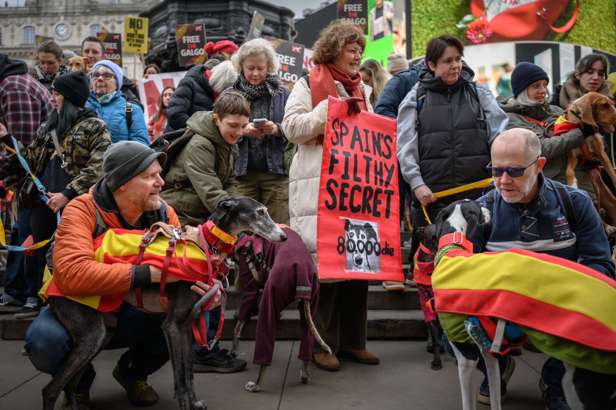 London protest urges Spain to end cruelty to hunting dogs | London ...