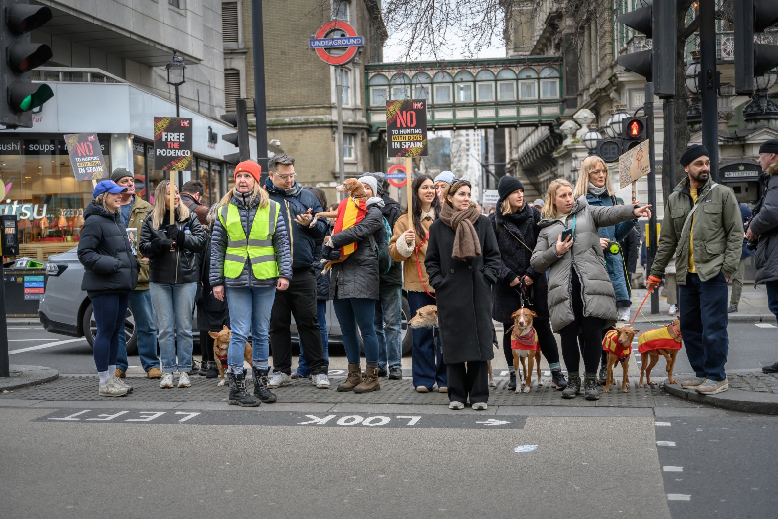 London protest urges Spain to end cruelty to hunting dogs | London ...