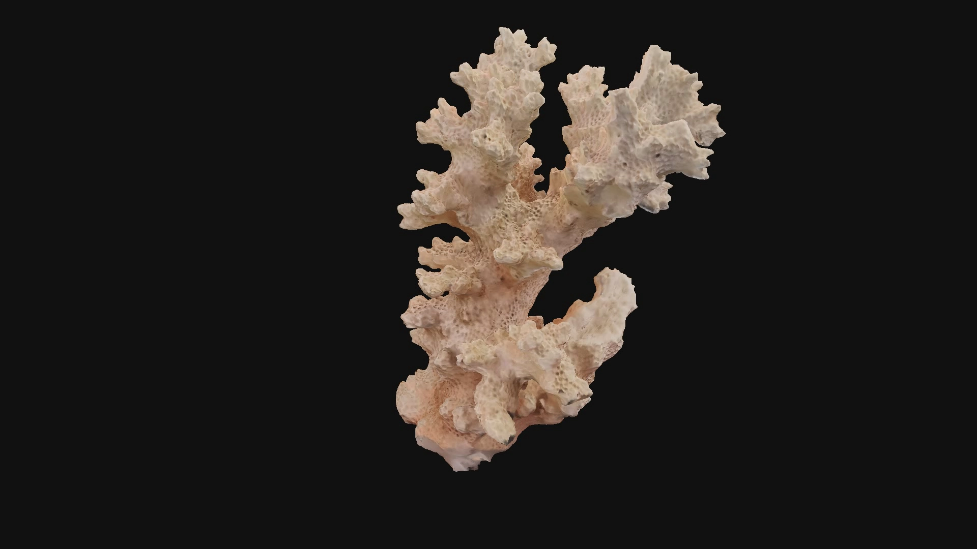 Lanzarote (Canary Islands) becomes a European reference for advanced ...