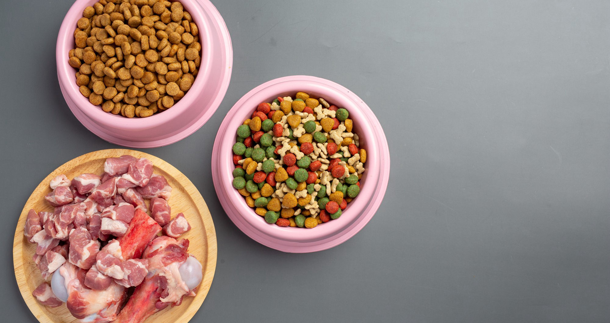 Homemade inspired dog food: Is it a better alternative? | London Daily News