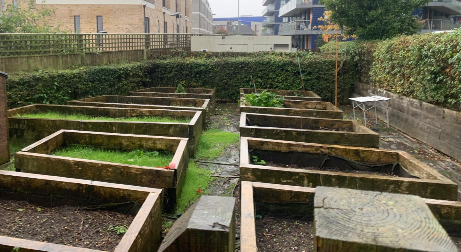 She Grows Veg helps urban communities to create green spaces | London ...