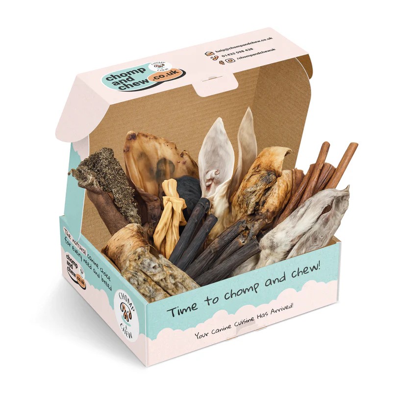 Chomp & Chew expands free downloadable resources to boost pet care ...