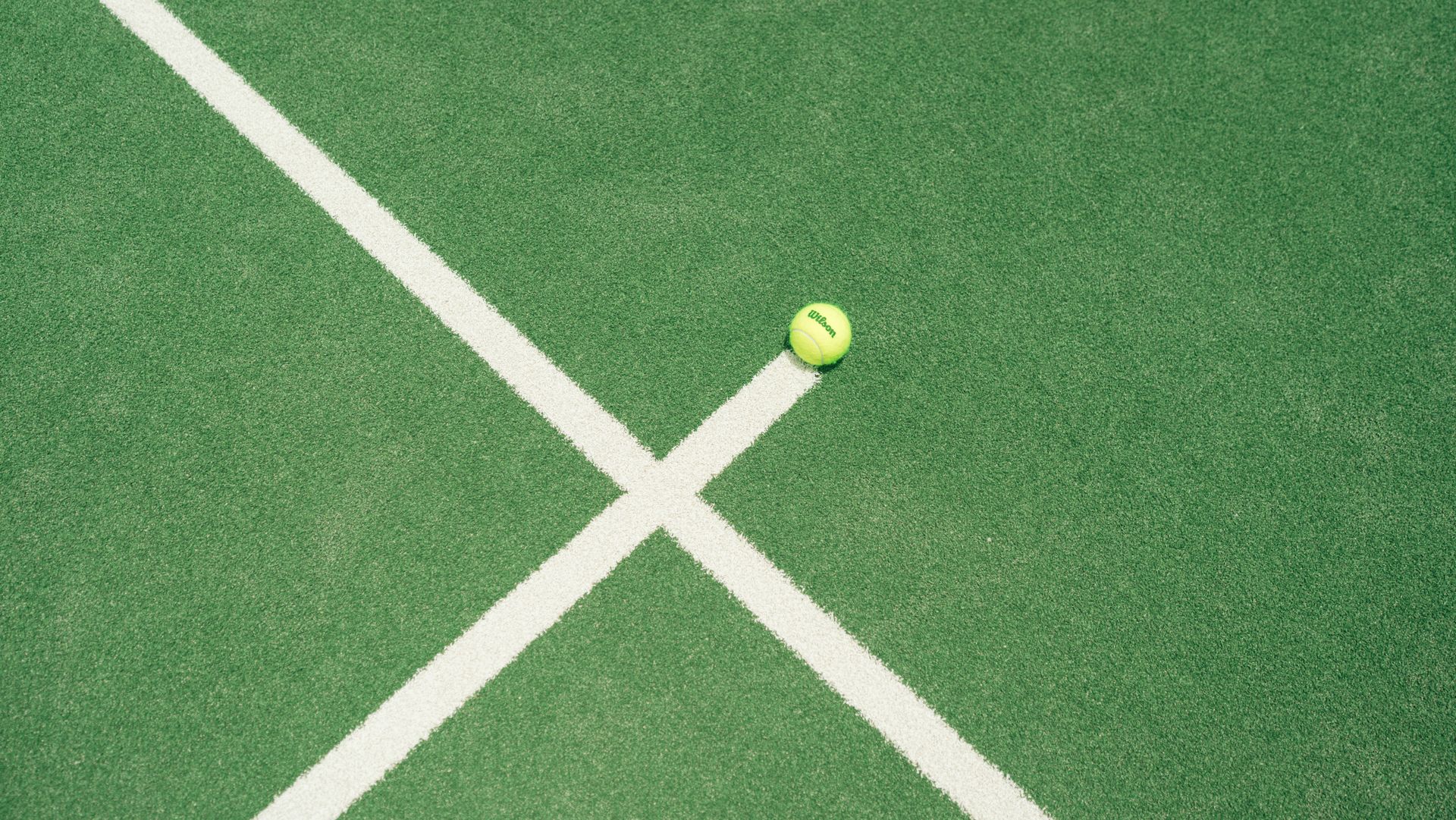 Wimbledon 2026: Full guide to dates, draw, prize money and contenders ...