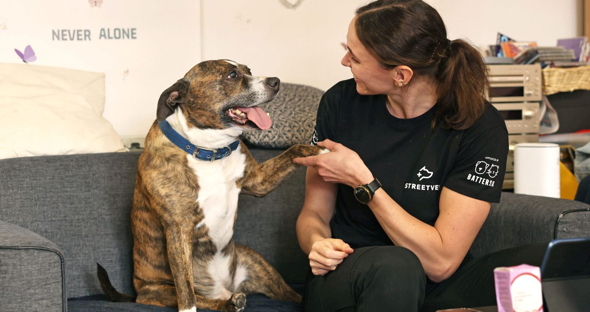 Streetvet and Battersea mark first year of lifesaving free vet care of ...